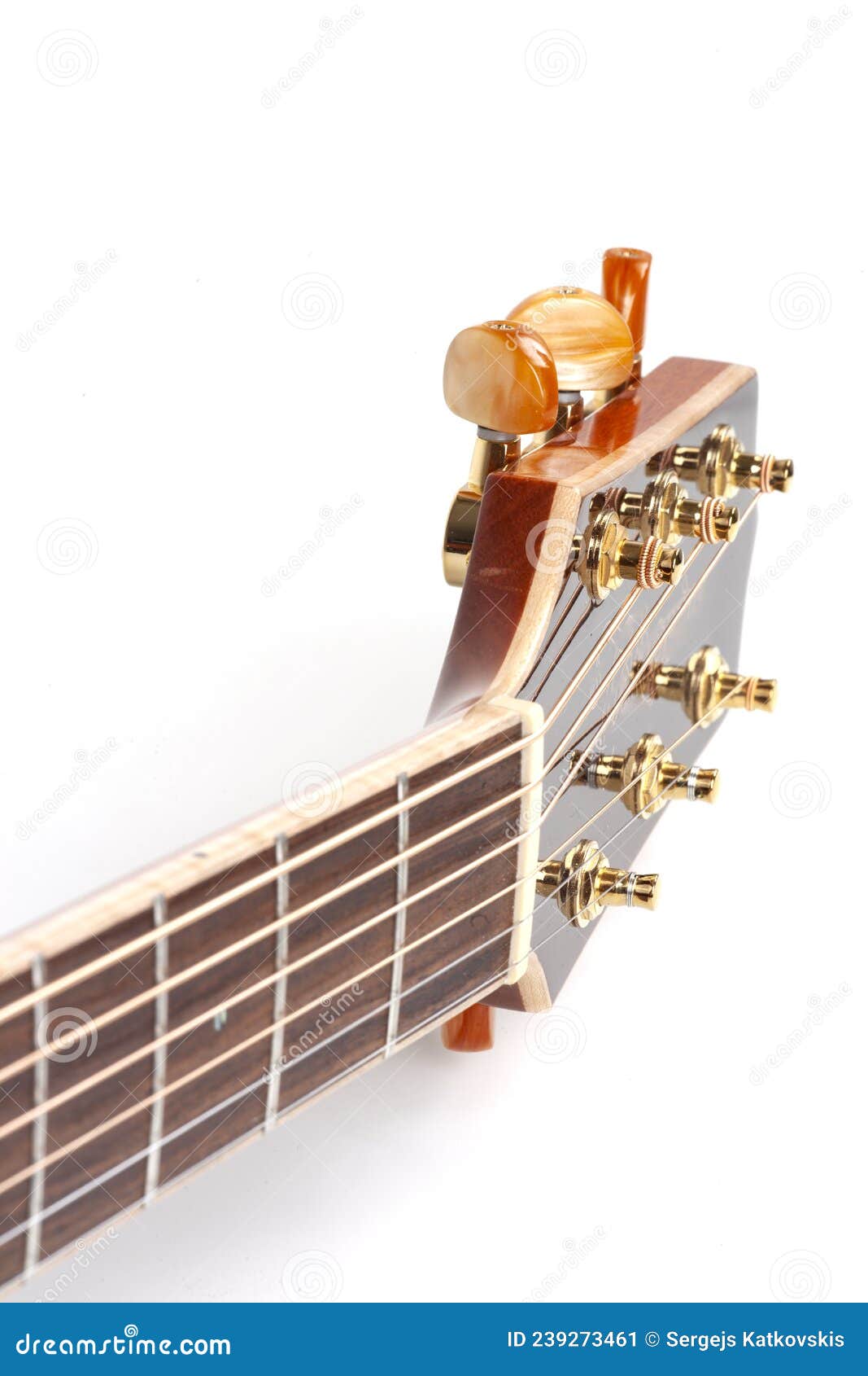 Acoustic Guitar on the White Stock Image - Image of sound, head: 239273461