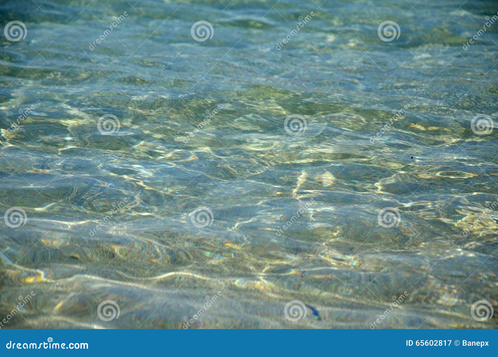 Acqua di mare trasparente immagine stock. Immagine di scena - 65602817