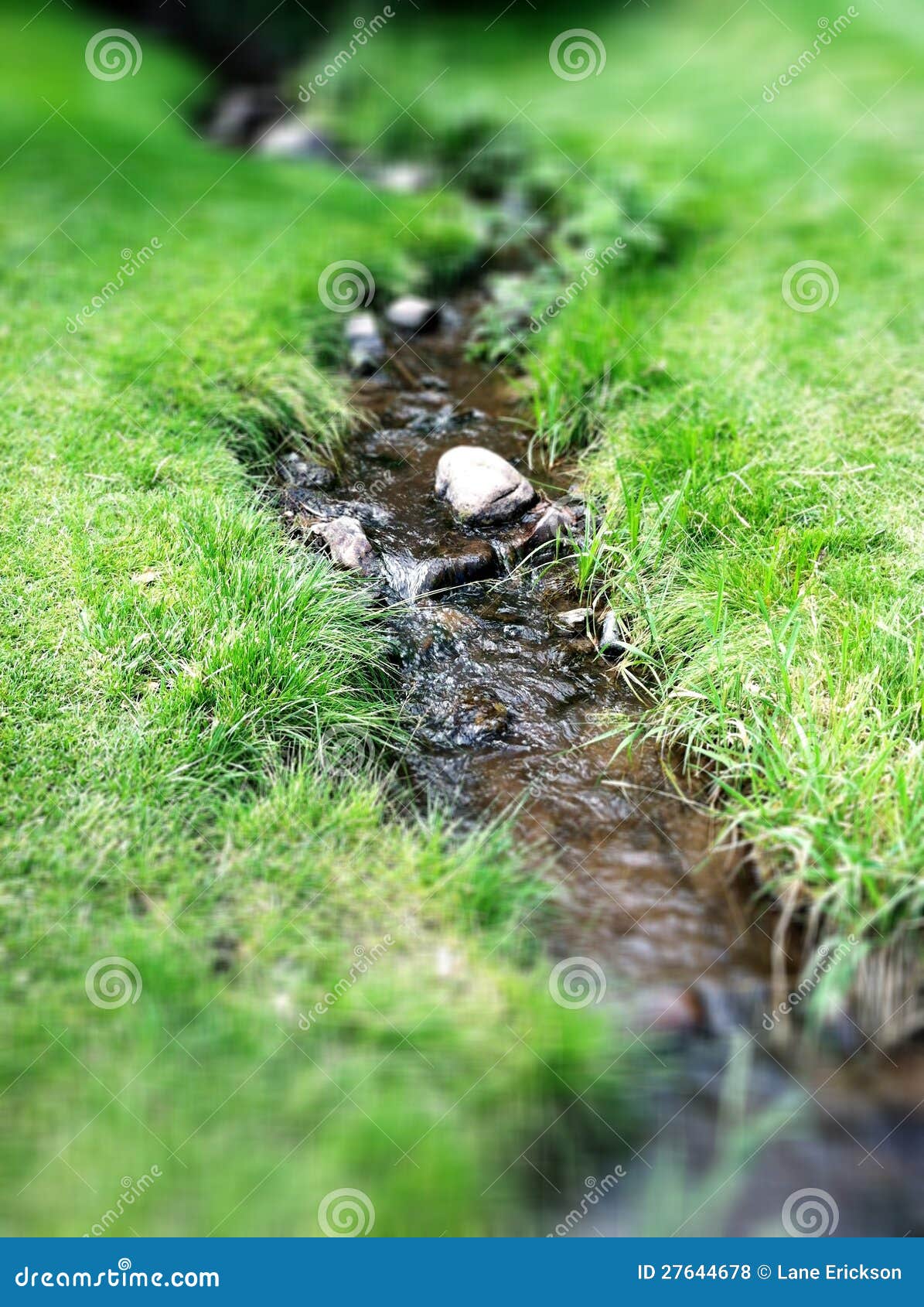 Acqua Di Ruscello in Prato Verde Fotografia Stock - Immagine di erba ...