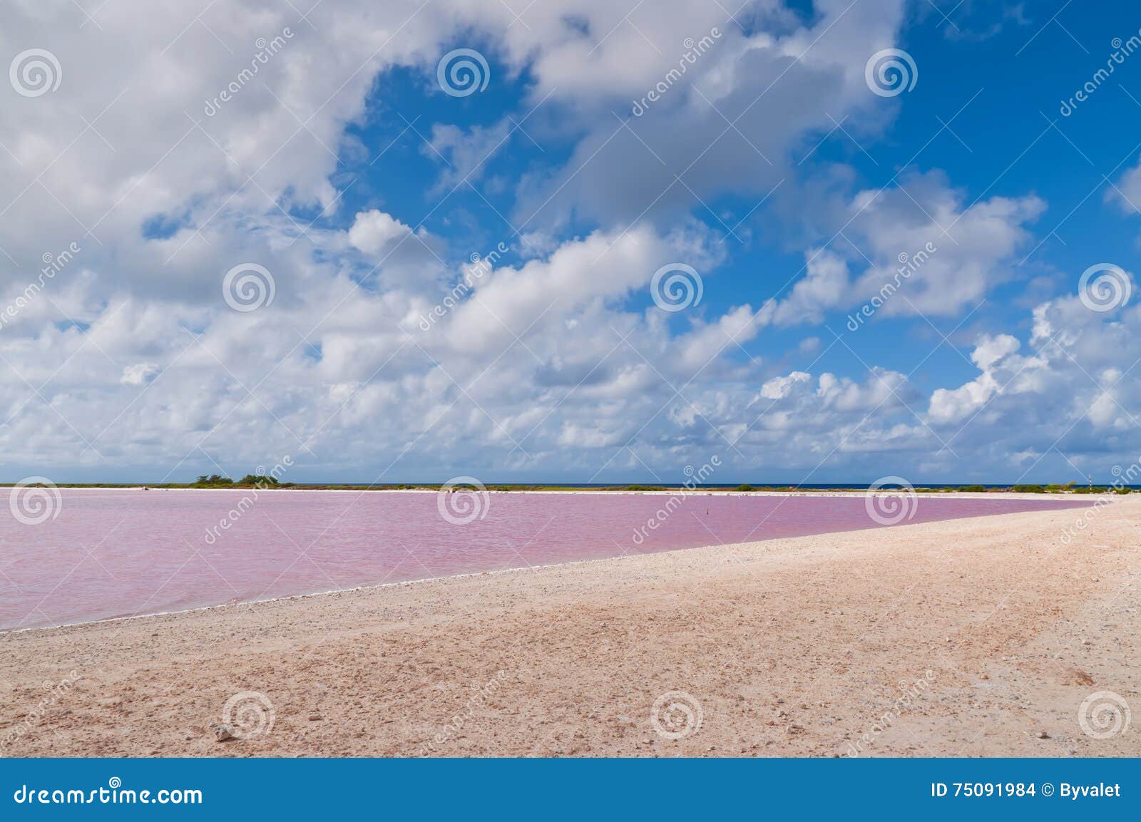 Acqua Rosa Sull'isola Del Bonaire Fotografia Stock - Immagine di sale ...