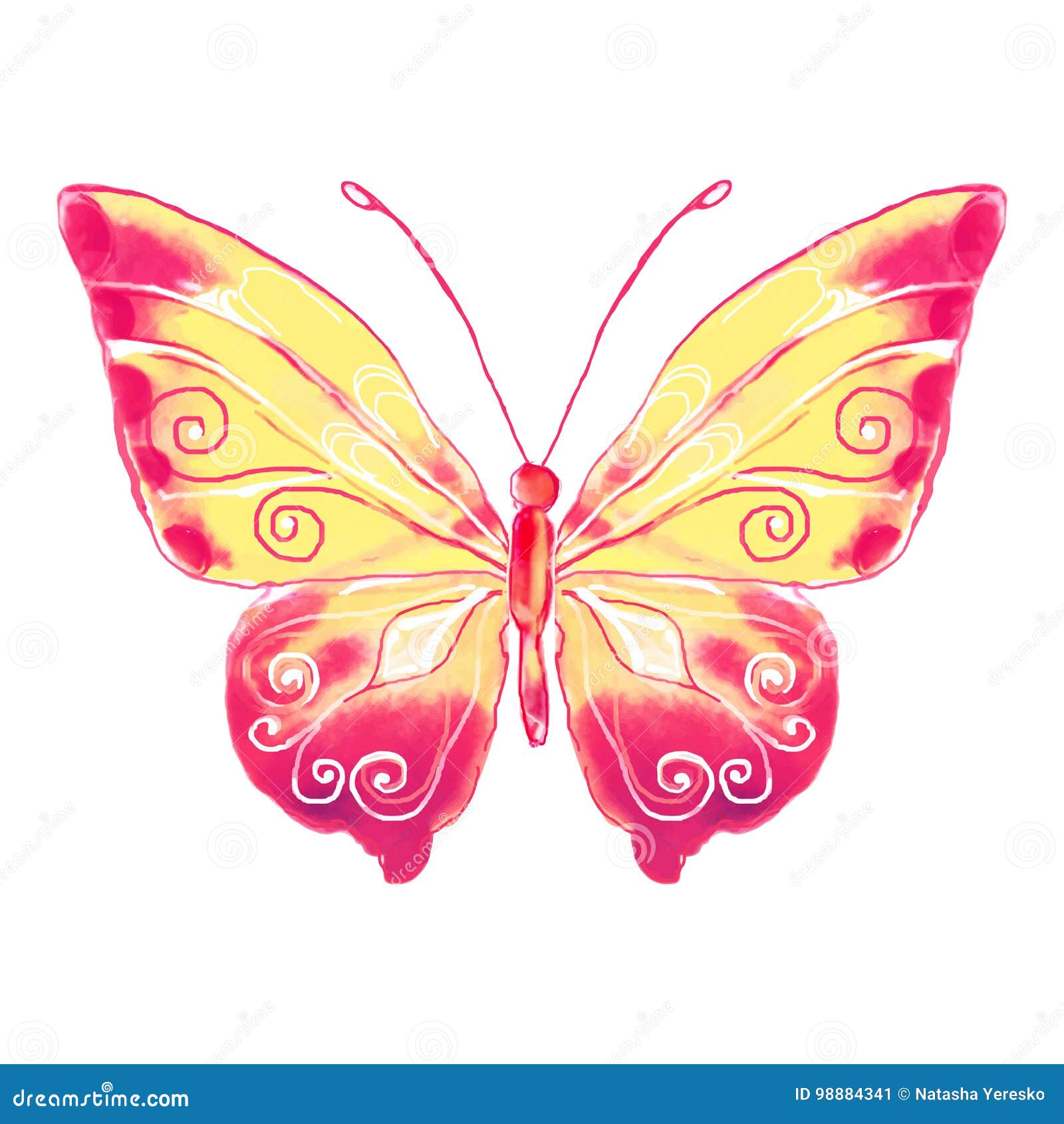 Acquerello Rosa Della Farfalla Illustrazione Di Vettore Illustrazione ...