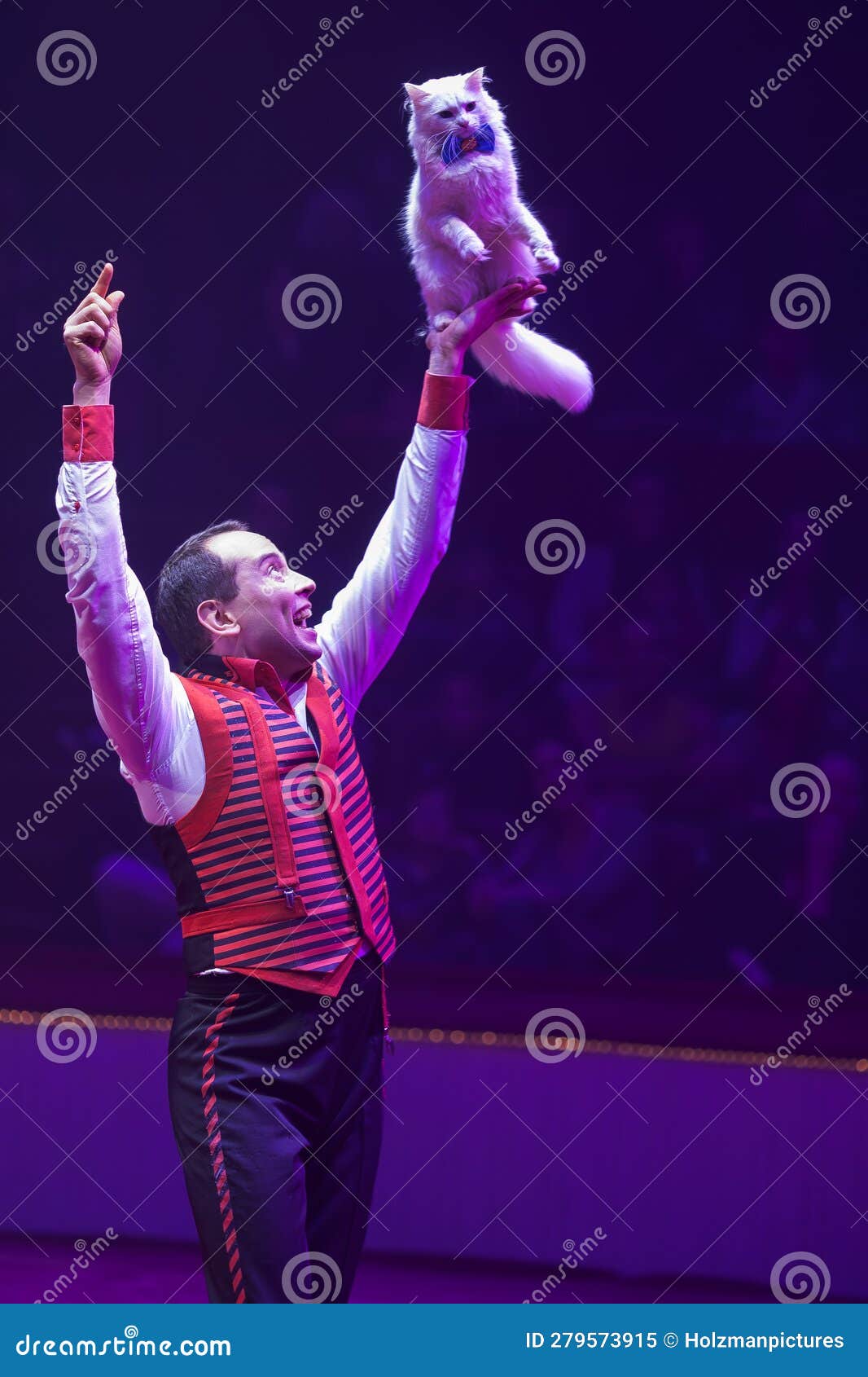 An Acrobat Dressed in Black, Red and White is Holding a White Cat on ...