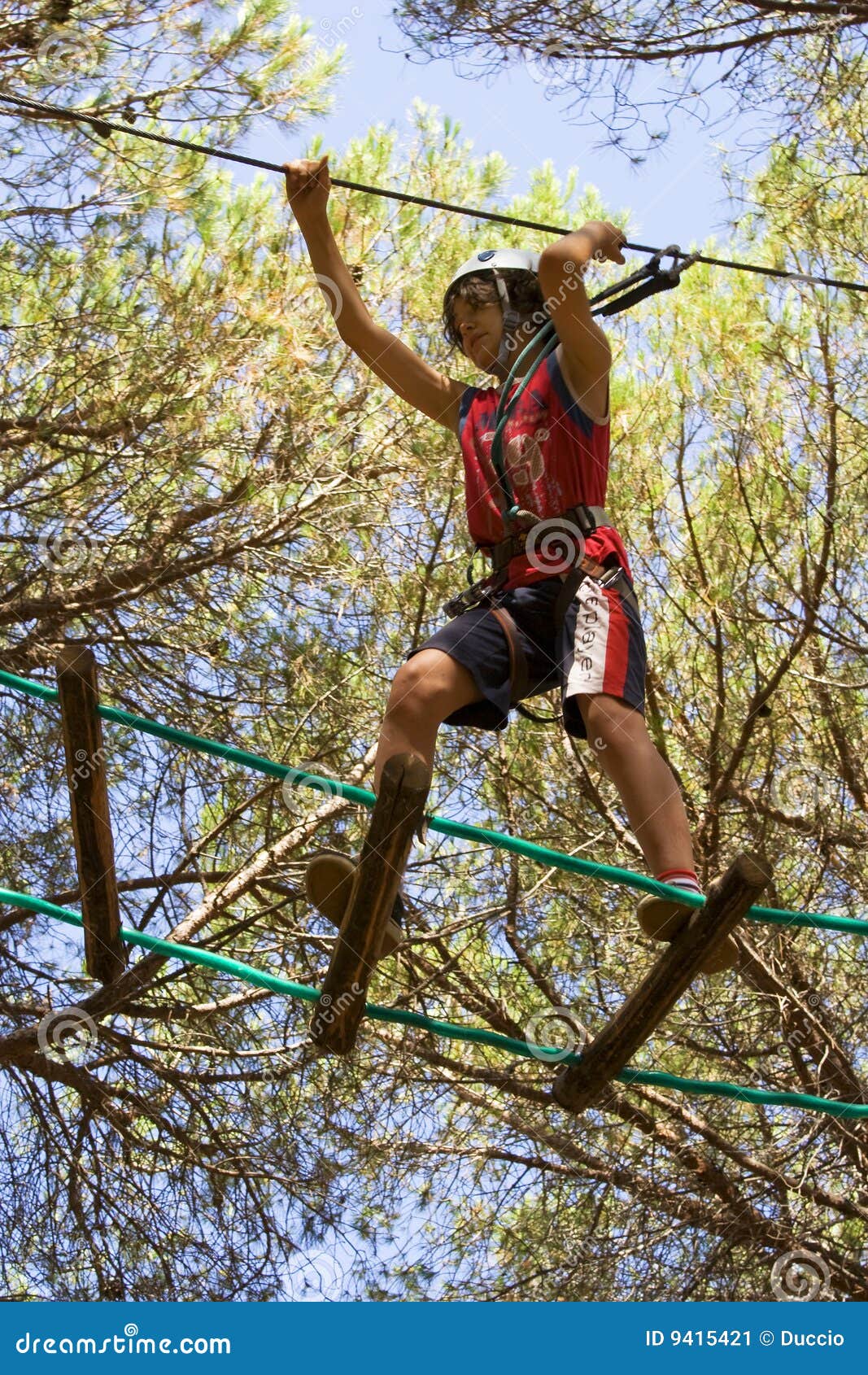 Acrobatics in the trees stock image. Image of funnambolico - 9415421