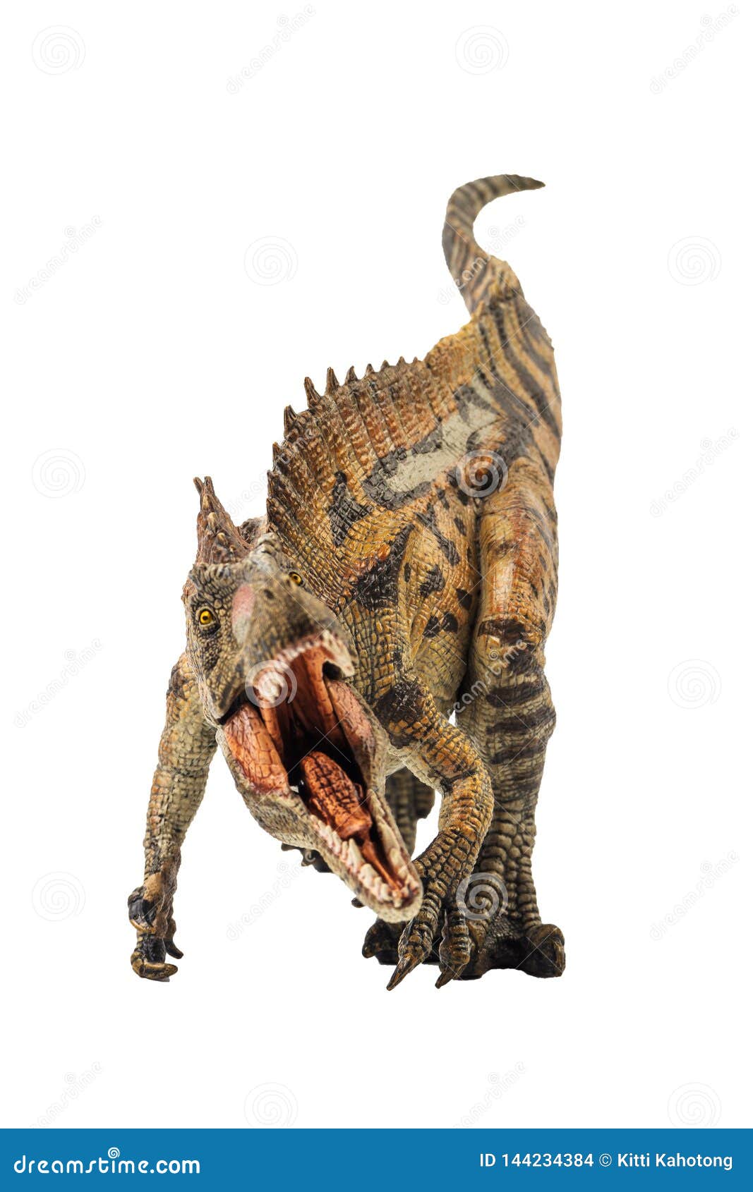 Acrocanthosaurus Dinosaur Front Stock Photography | CartoonDealer.com ...