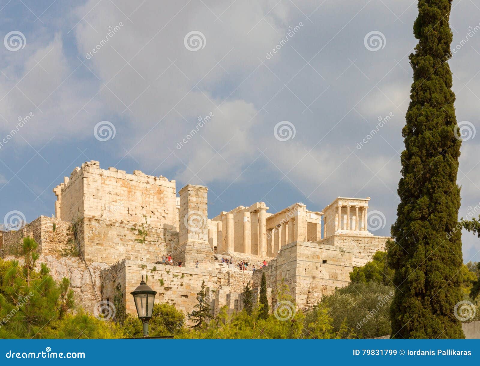 2,935 Acropolis Tree Stock Photos - Free & Royalty-Free Stock Photos ...