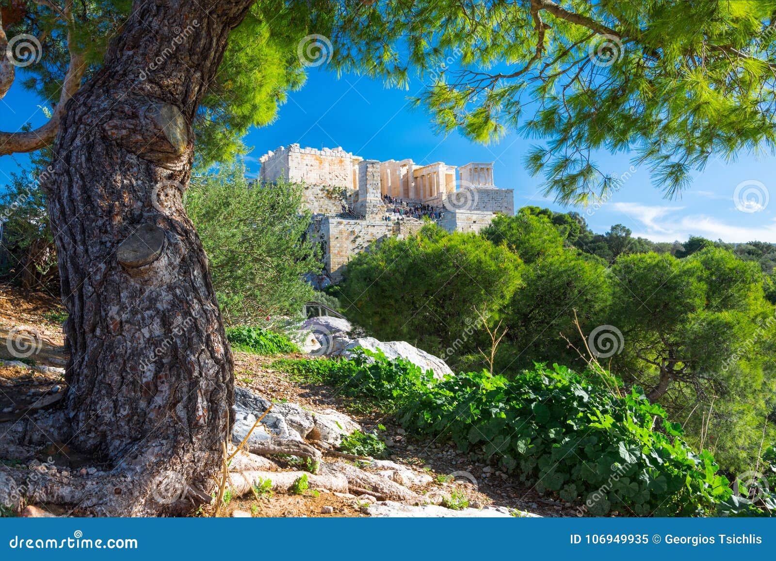 Acropolis with Parthenon. View through a Frame of Green Plants and ...