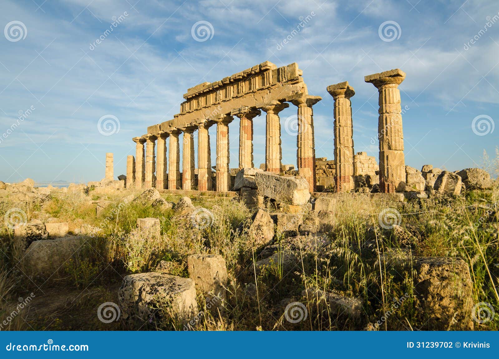 Acropolis of Selinunte, Sicily Stock Photo - Image of column, grass ...