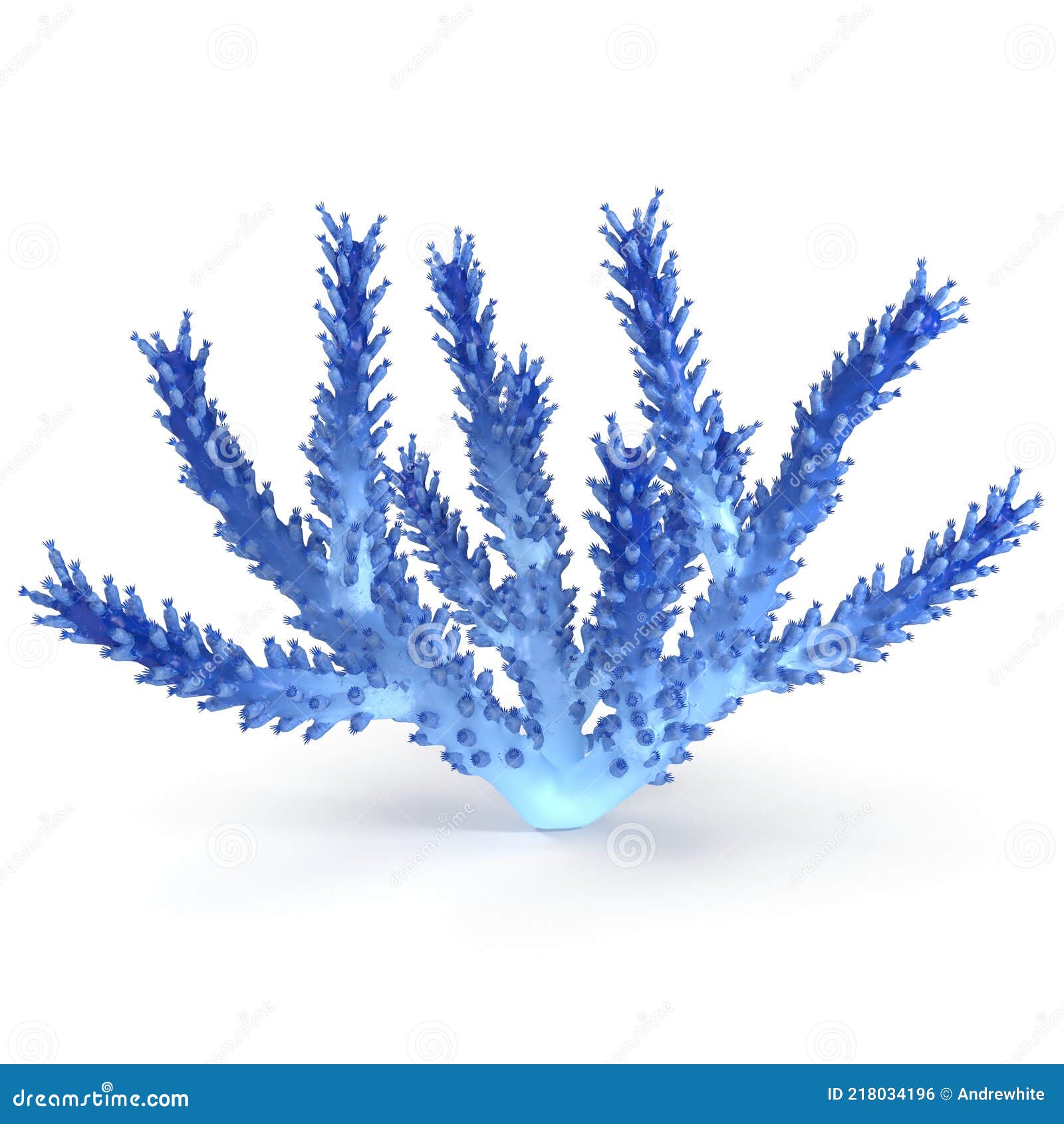 Acropora Coral Vector Illustration. Drawing Of Sea Polyp On Dark ...