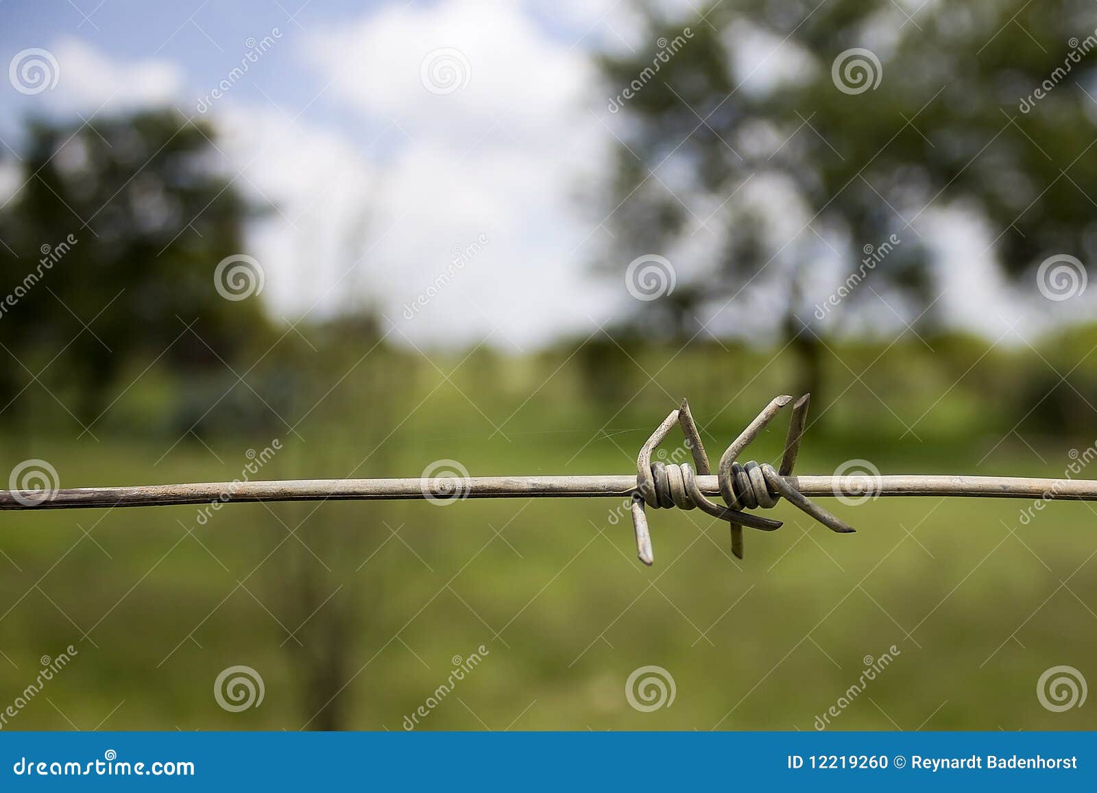 Across the wire stock photo. Image of color, field, bush - 12219260