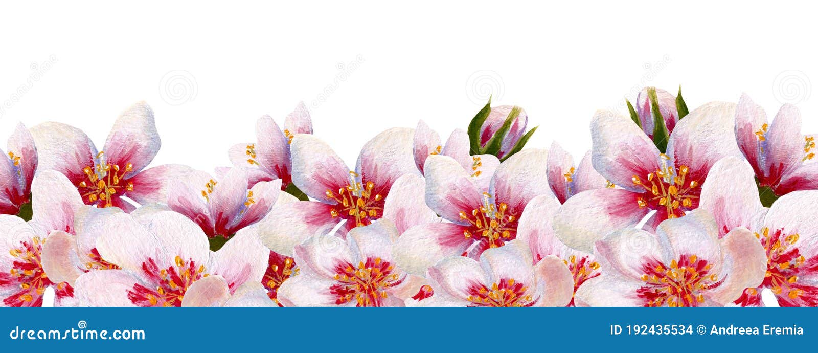 Acrylic Cherry Blossom Horizontal Border Stock Illustration ...