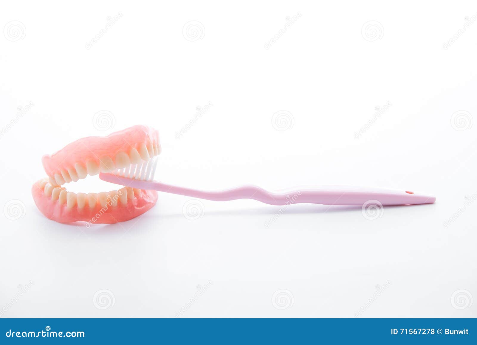 Acrylic Dentures with Toothbrush on White Background Stock Photo ...