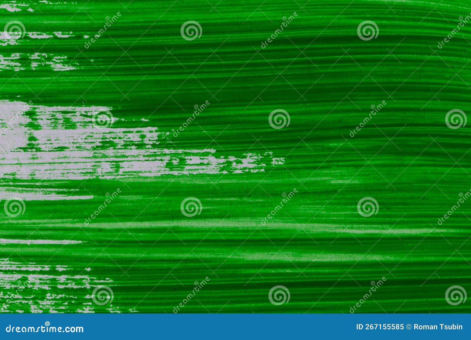 Acrylic Green Paint Texture Background Stock Image - Image of ...