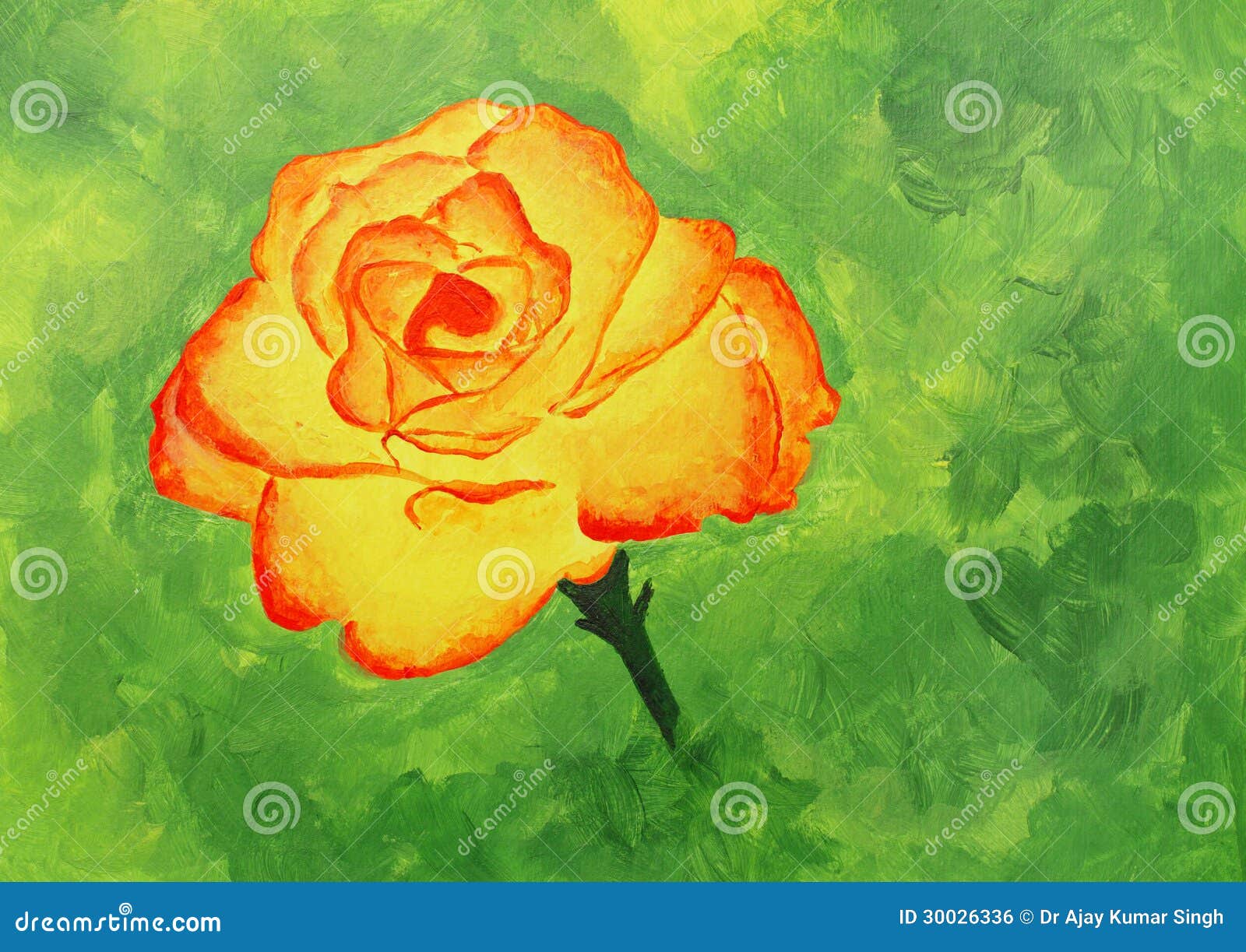 Painting of a Beautiful Yellowish Orange Rose Stock Illustration ...