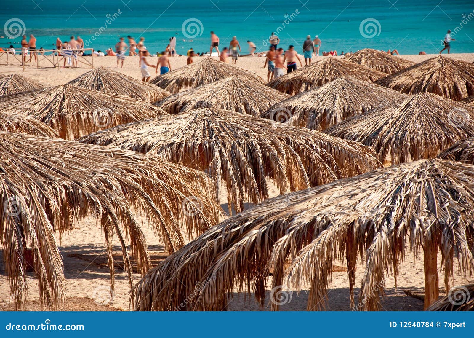 Actieve mensen op strand stock foto. Image of zonnescherm - 12540784