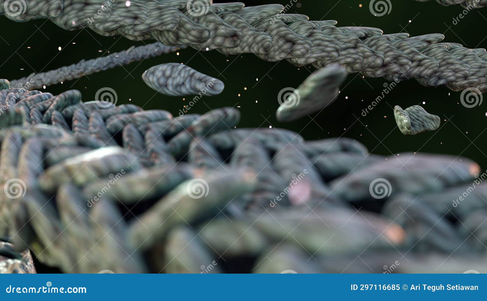 The Actin Cytoskeleton Structure Of Cells Royalty-Free Stock Photo ...