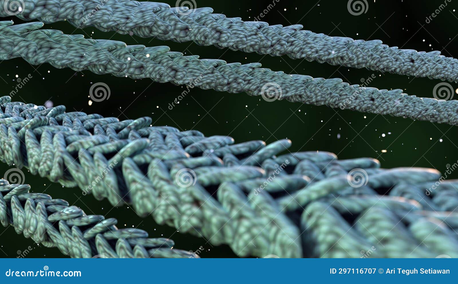 The Actin Cytoskeleton Structure of Cells Stock Illustration ...