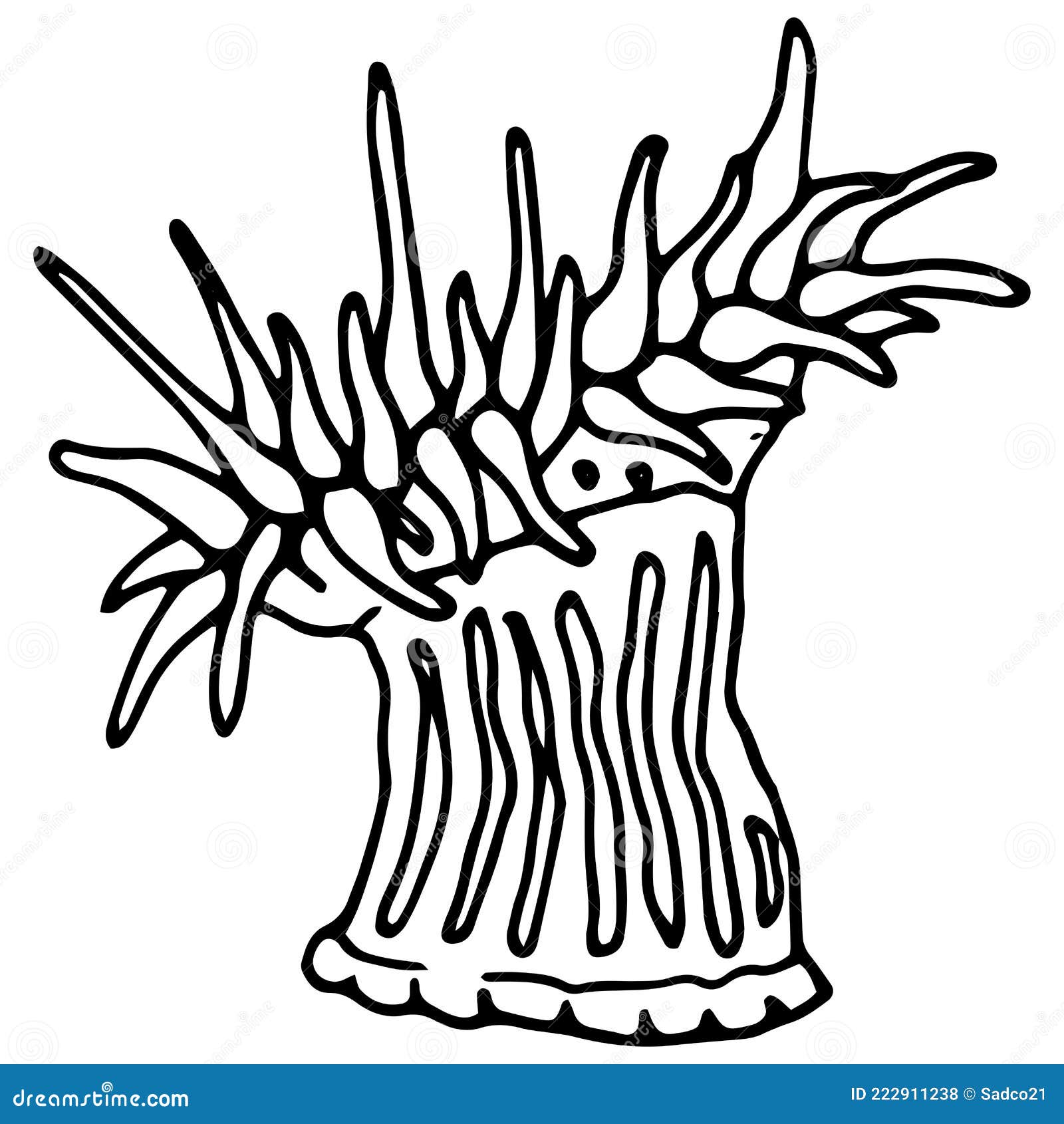 Hand drawn actinia doodle stock vector. Illustration of biology - 222911238