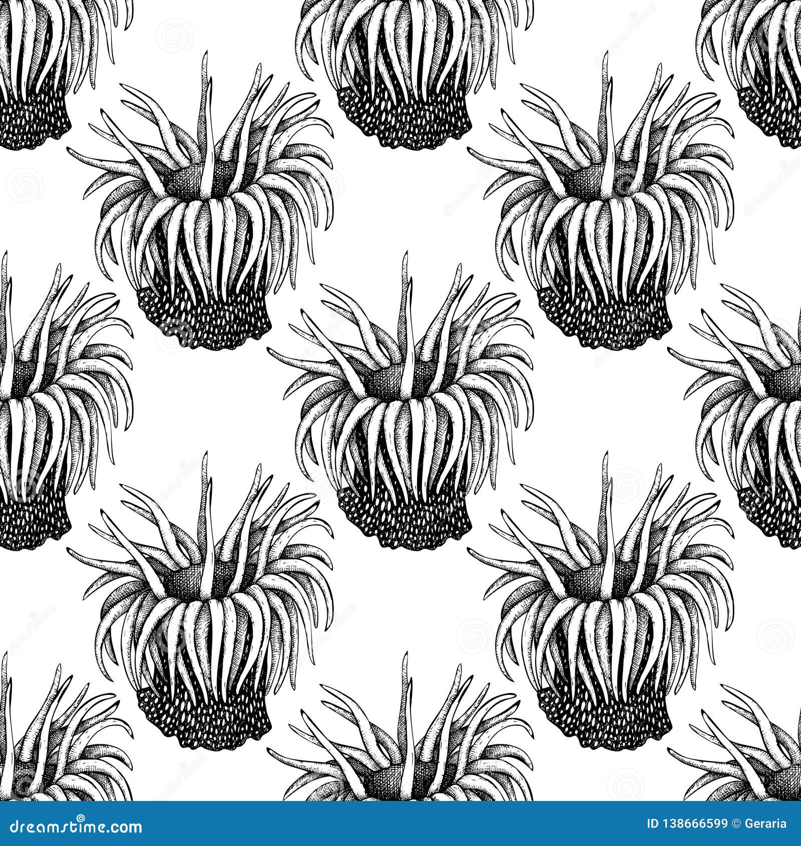 Hand Drawn Actinia - Sea Flower Background. Vector Underwater Natural ...