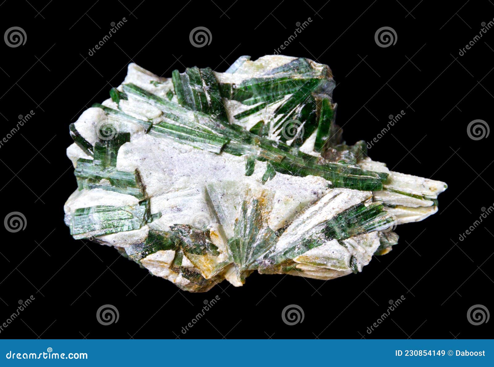 Actinolite in Talc Gemstone on a Black Background Stock Image - Image ...