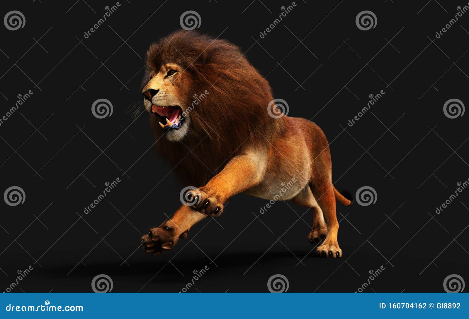 Action of Dangerous Lion with Clipping Path Stock Illustration ...