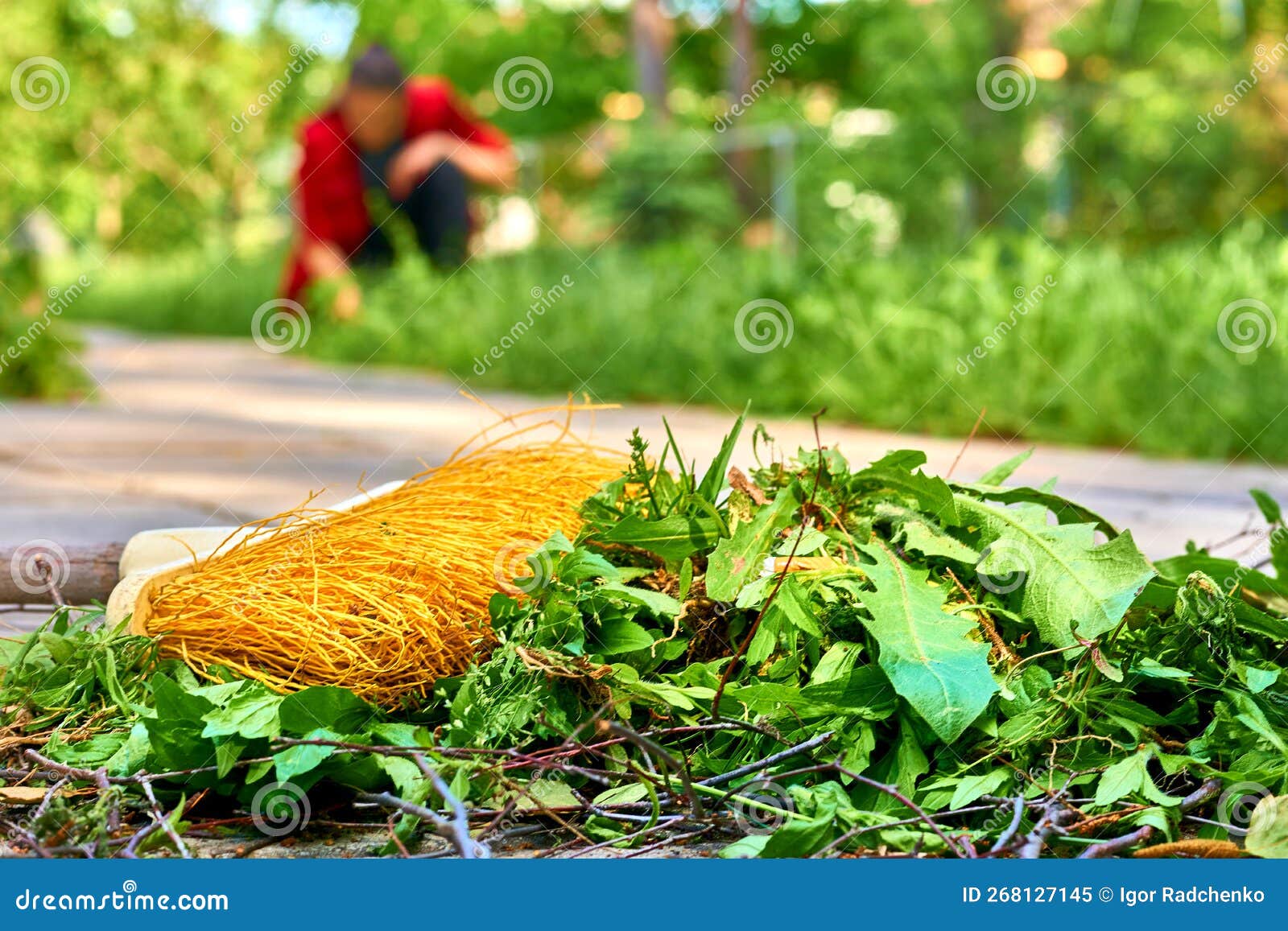 Cleaning the Backyard Near the House and a Lot of Garbage from this ...