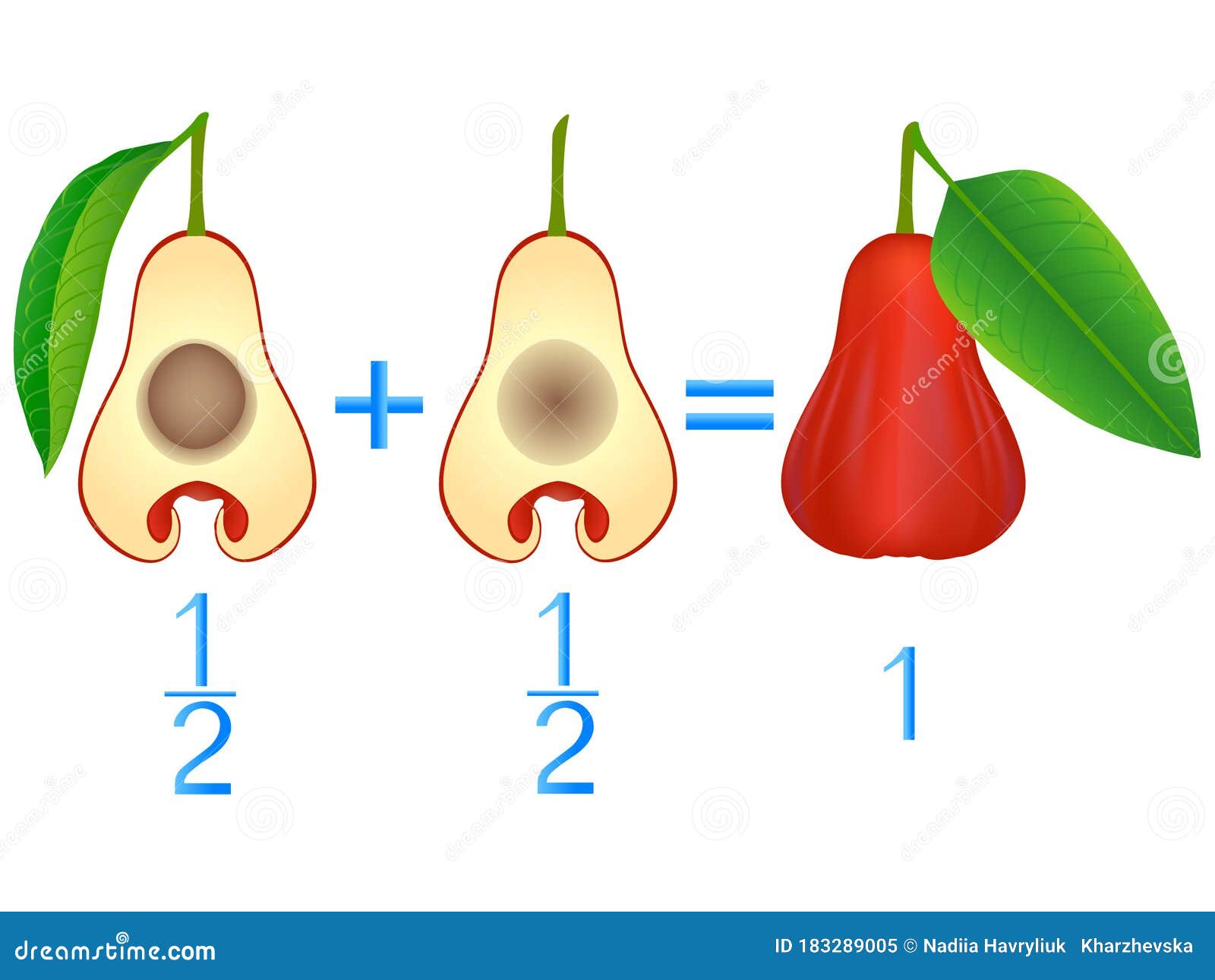 Action Relationship of Addition Halves, Examples with Rose Apples ...