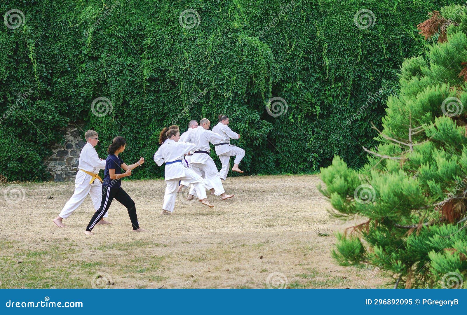 Action Shot of Students Learning Various Karate Moves in a Park in ...