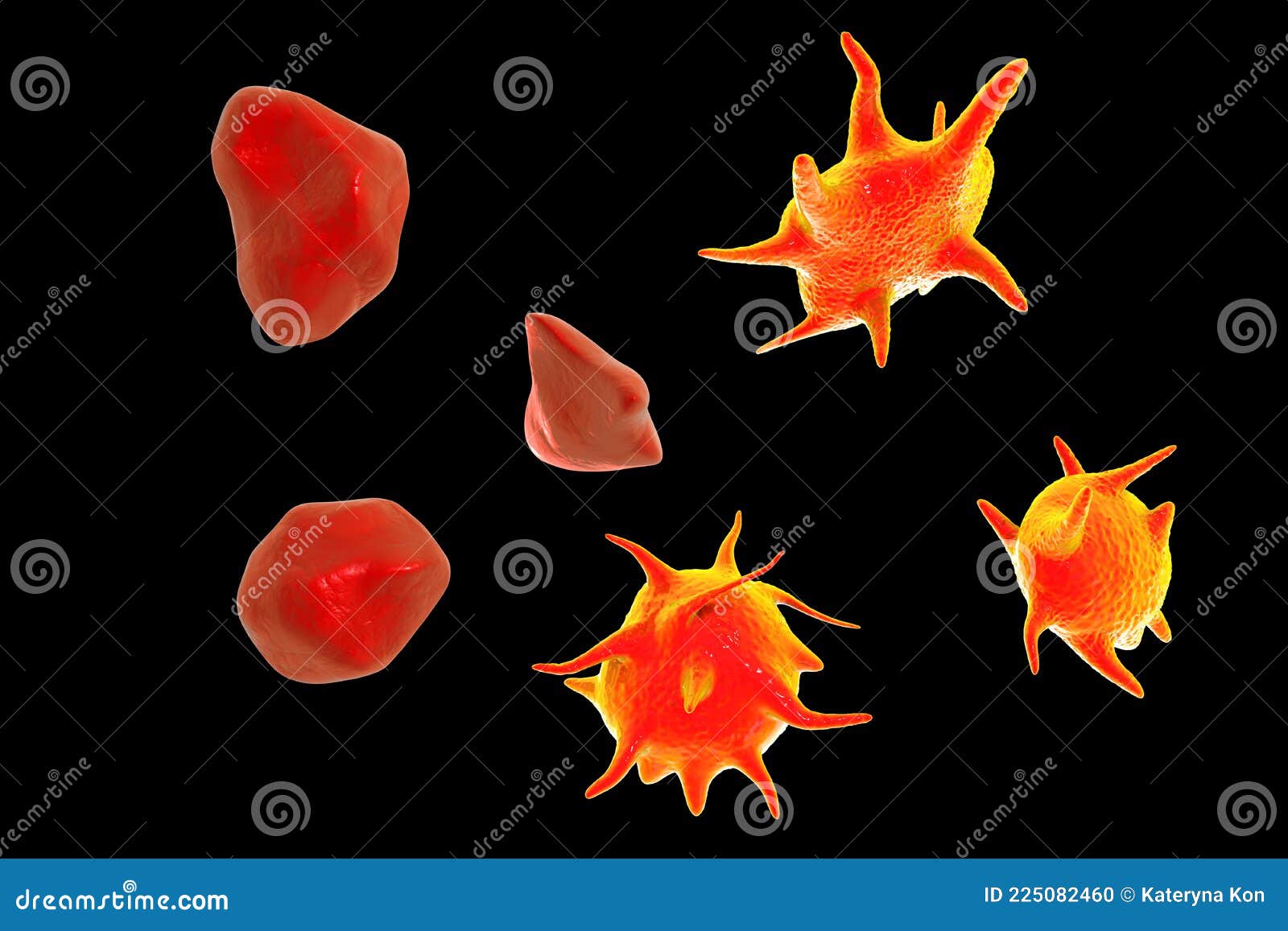 Set With Platelets Or Thrombocytes In Normal And Activated Version ...