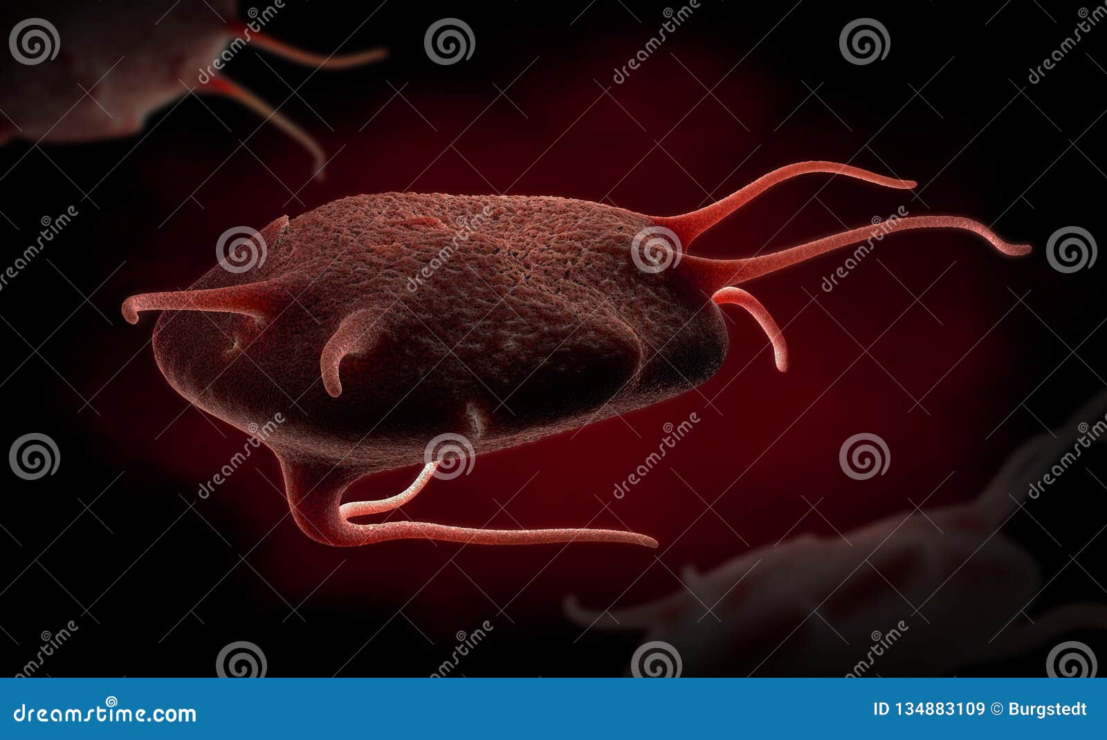 Activated Platelets, Also Called Thrombocytes Responsible for the ...