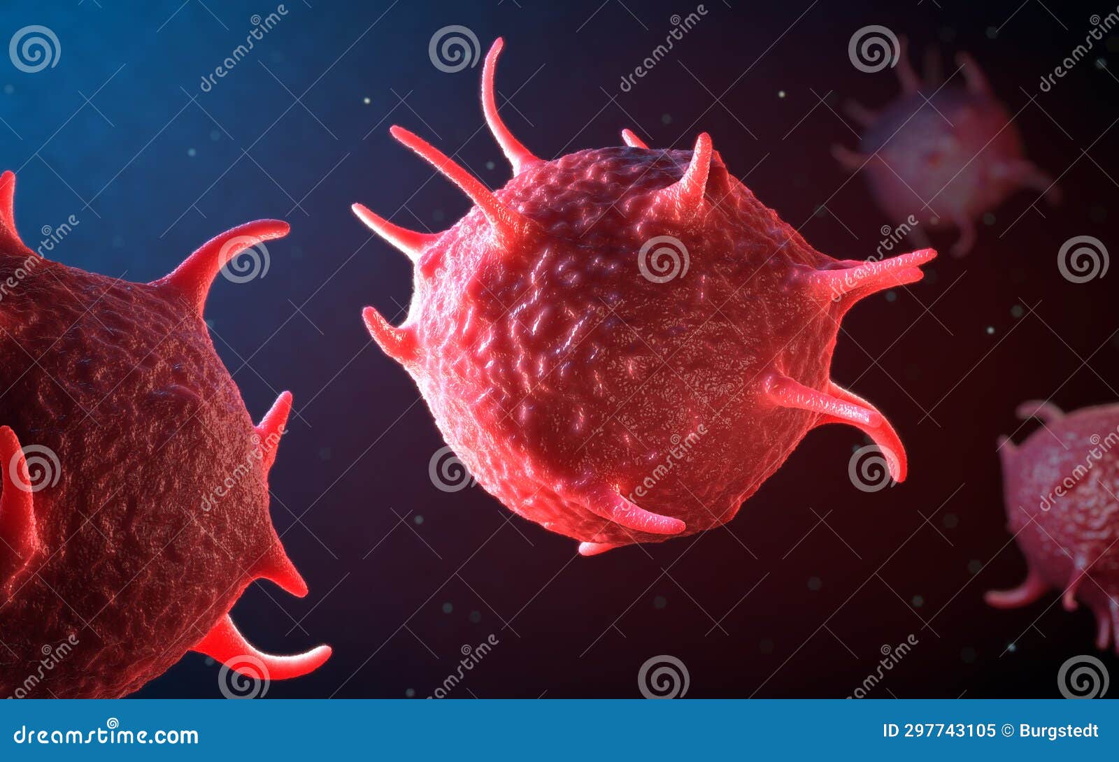 Activated Platelets, Also Called Thrombocytes Responsible for the ...