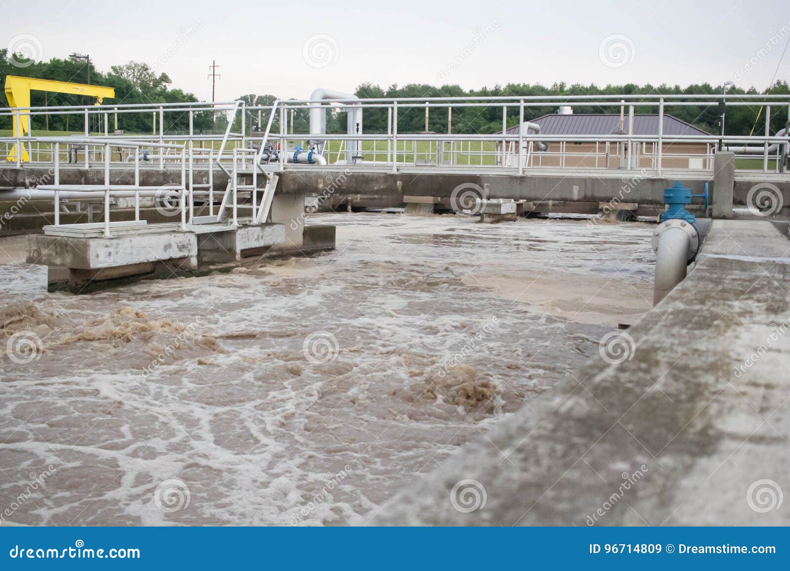 Activated Sludge editorial stock image. Image of laboratory - 96714809