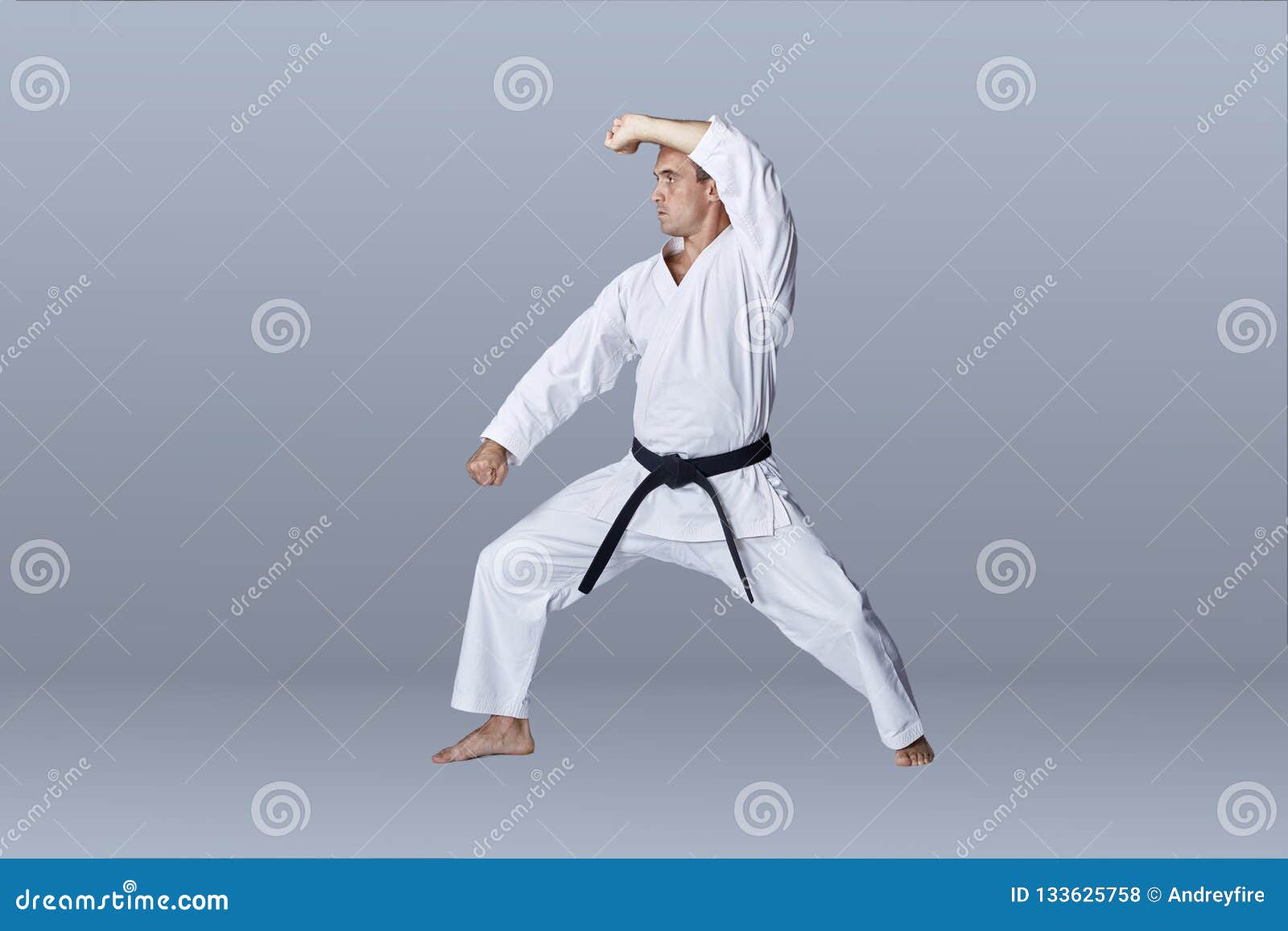 Young Active Athlete Performs Formal Karate Exercises Stock Photo ...