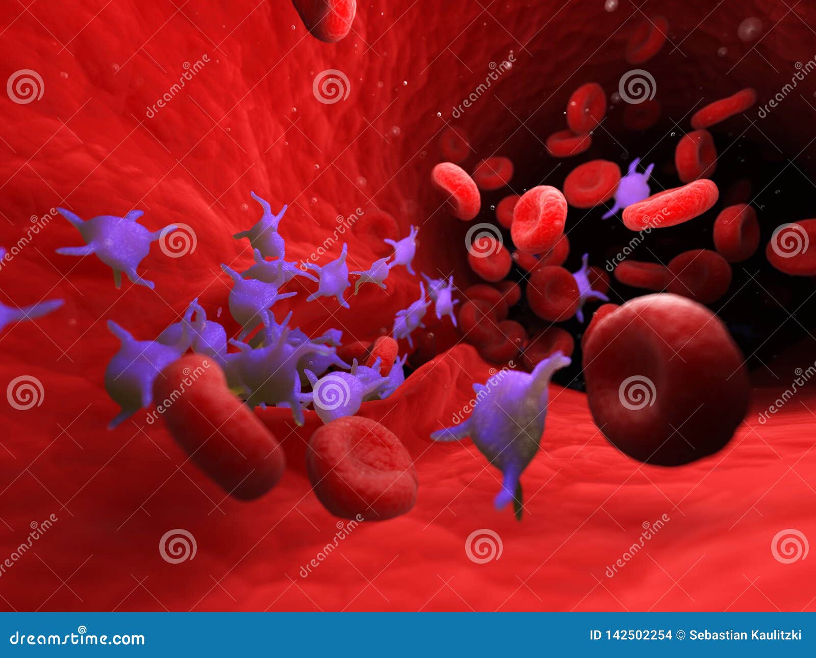 Platelets Or Thrombocyte Activation Fibrin In Blood Vessel Vector ...