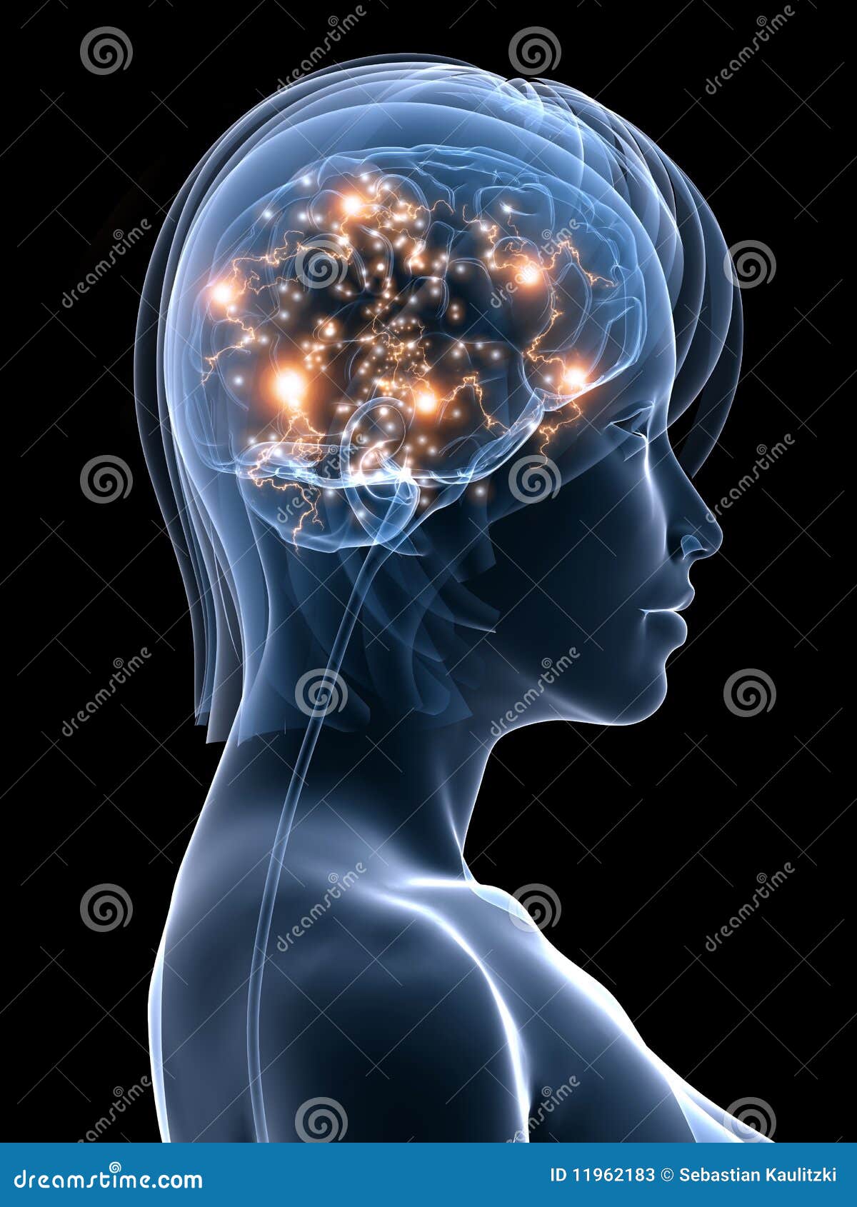 Active brain stock illustration. Illustration of knowledge - 11962183