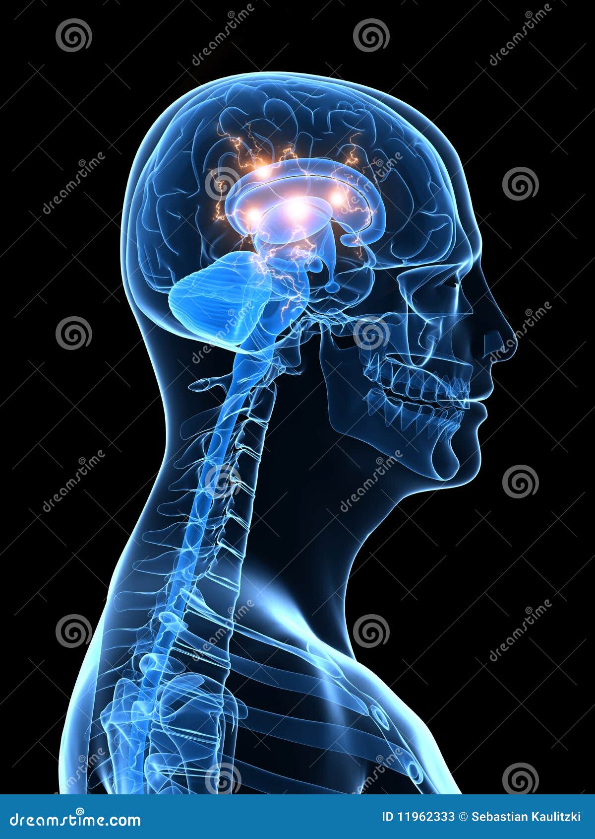 Active brain stock illustration. Illustration of active - 11962333