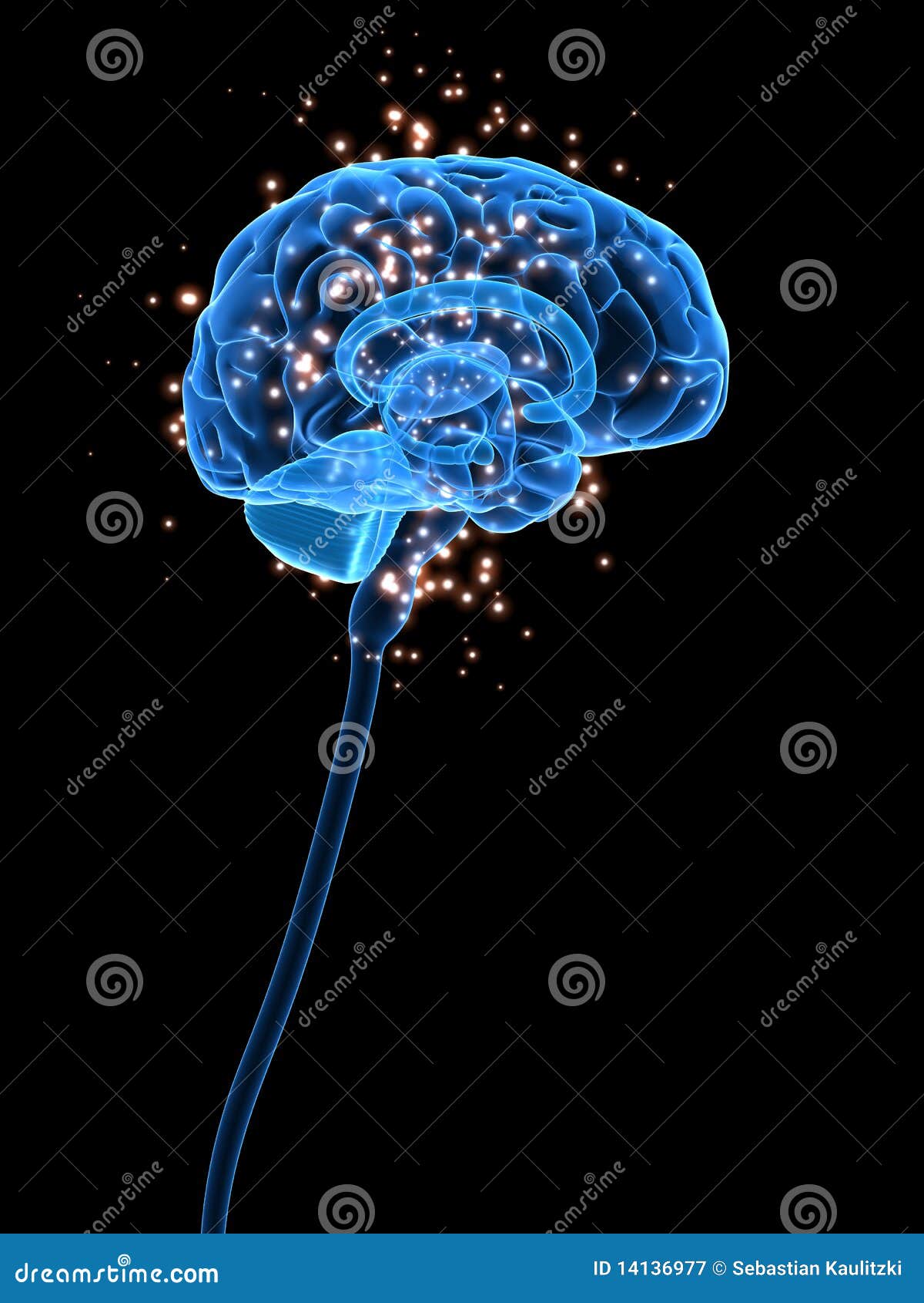 Active brain stock illustration. Illustration of blue - 14136977