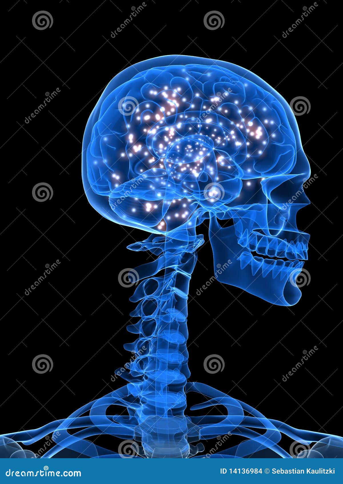 Active Brain Royalty-Free Cartoon | CartoonDealer.com #14136977