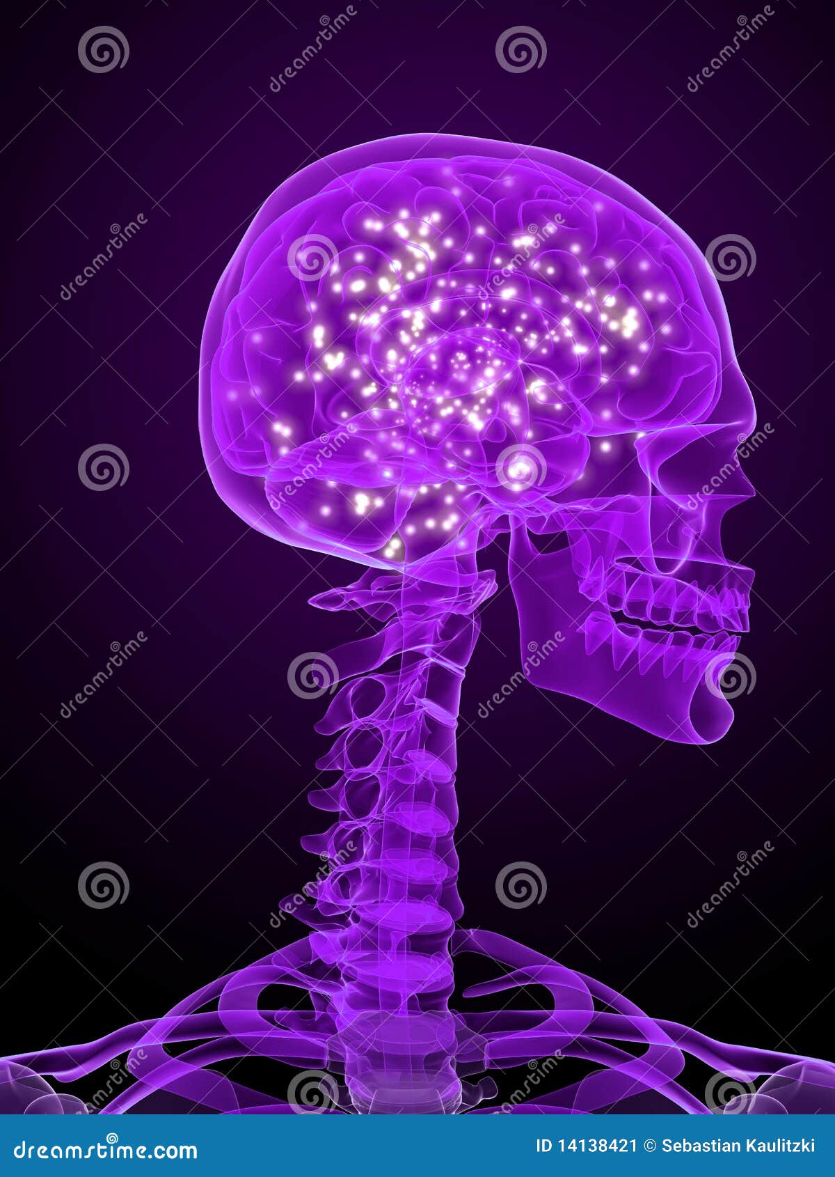 Active brain stock illustration. Illustration of highlighted - 14138421