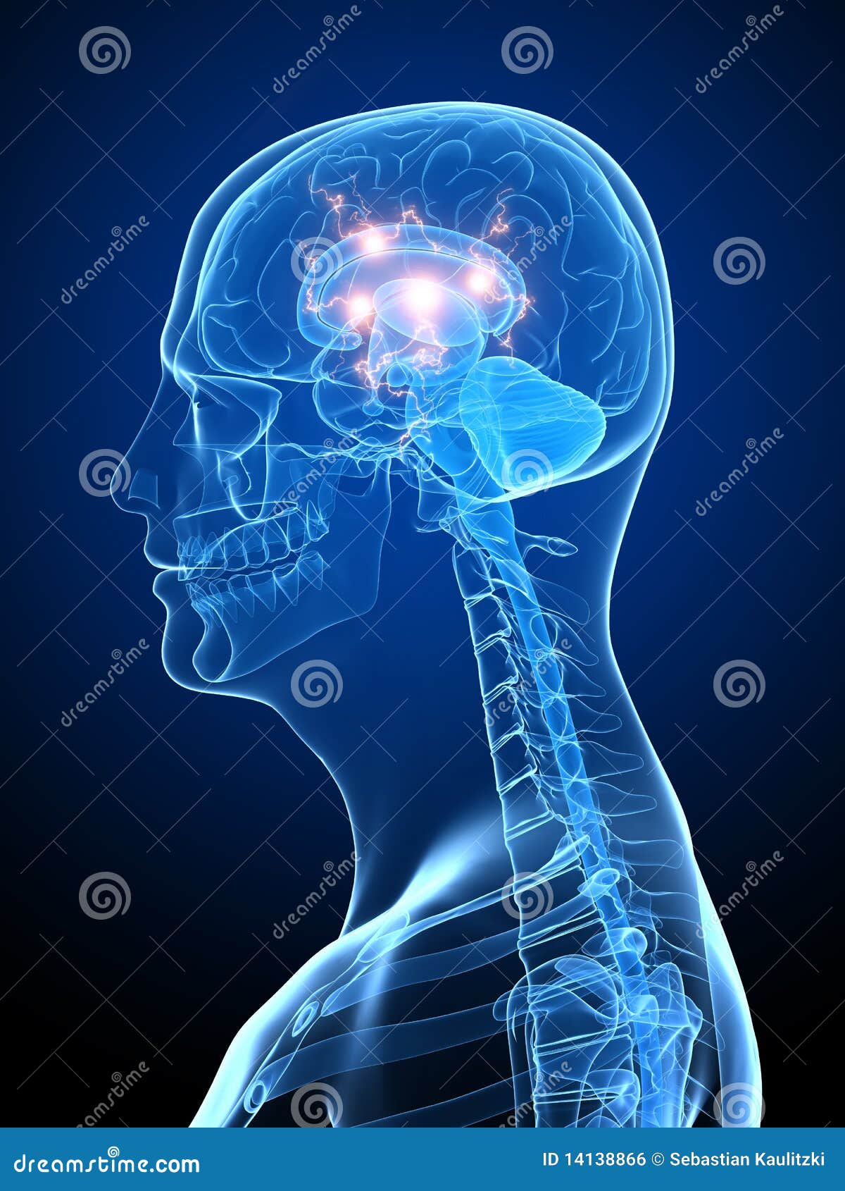 Active brain stock illustration. Illustration of pain - 14138866