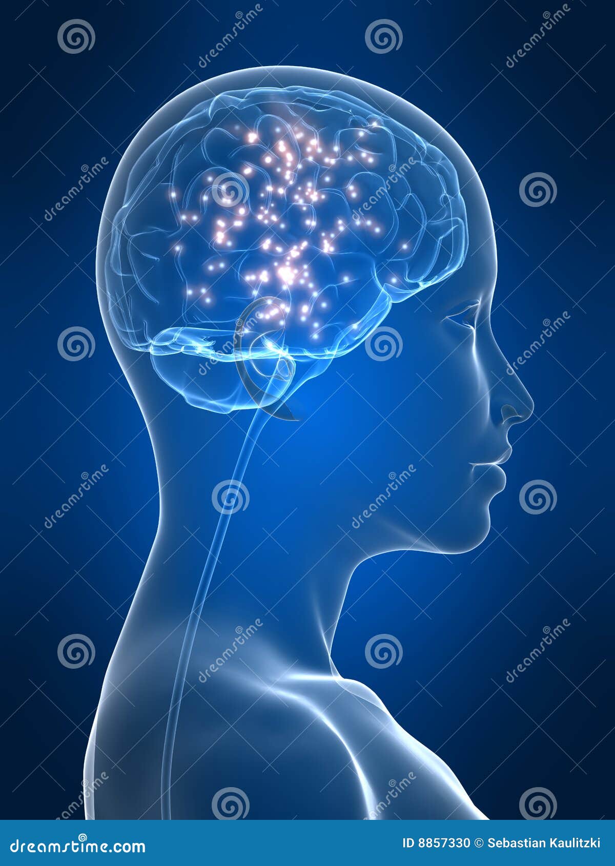 Active brain stock illustration. Illustration of brain - 8857330