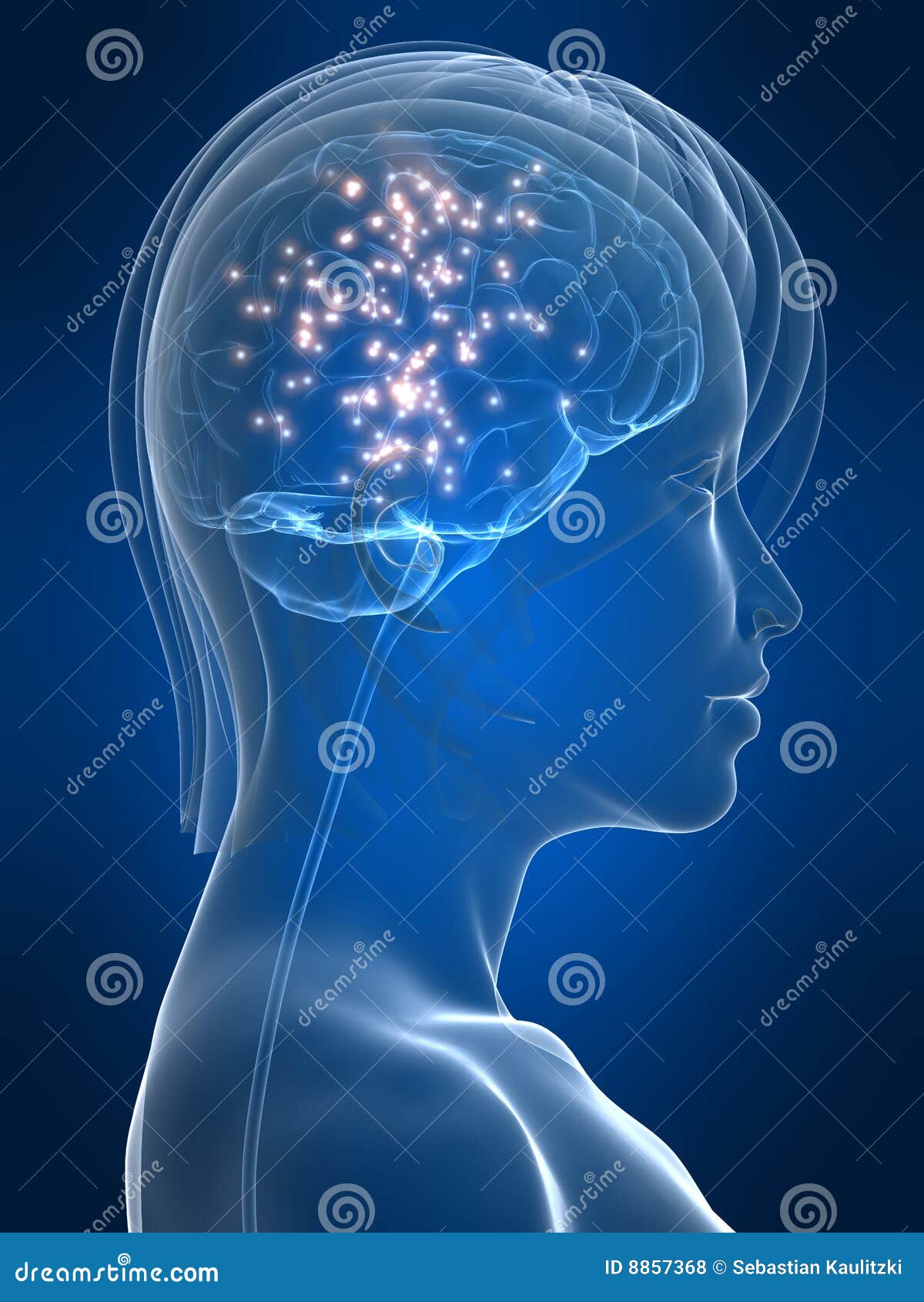 Active brain stock illustration. Illustration of intelligence - 8857368