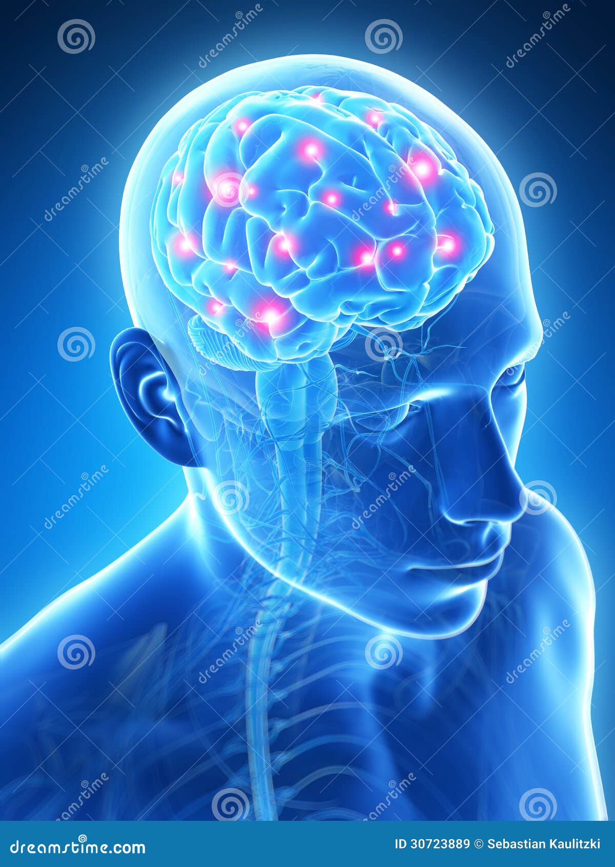 Active brain stock illustration. Illustration of brain - 30723889