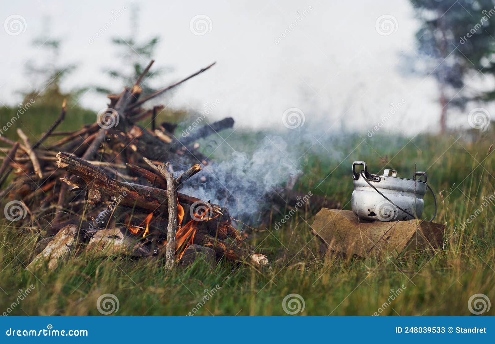 Active Campfire on the Meadow at Daytime. Cloudy Weather Stock Image ...