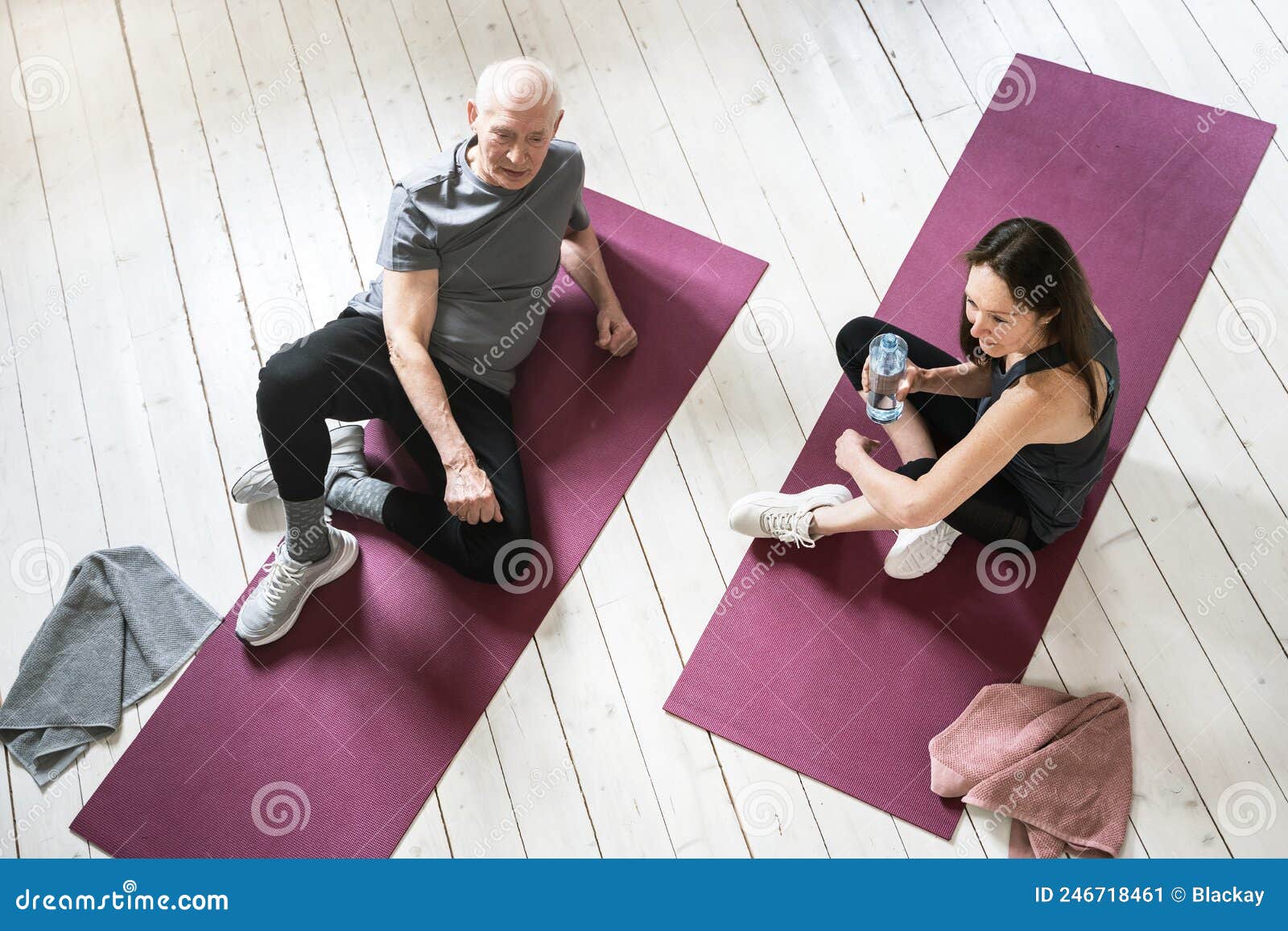 Active Elderly People Working Out on the Exercise Mats at Home Stock ...