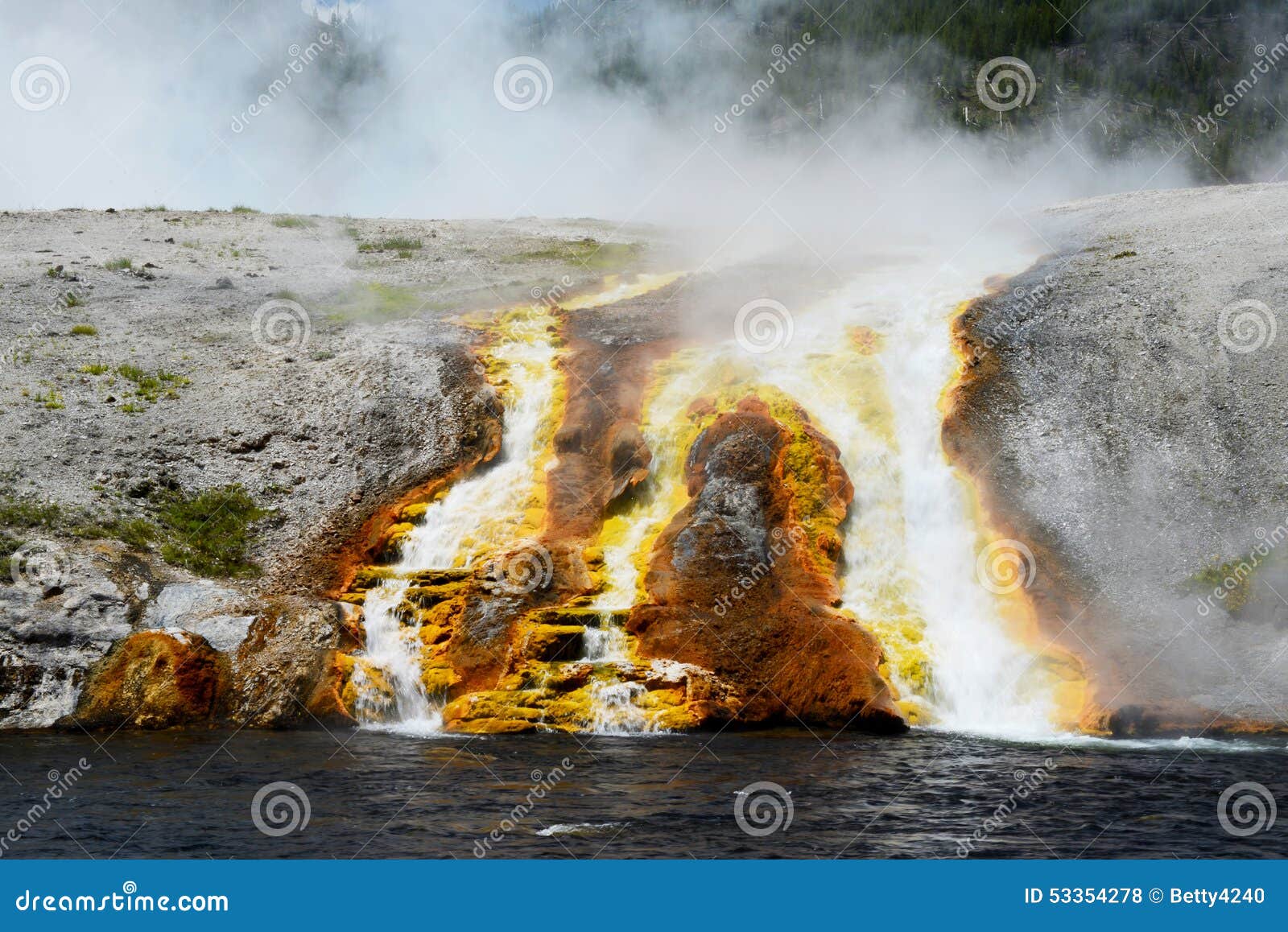Active Geyser in Yellowstone National Park. Stock Photo - Image of ...