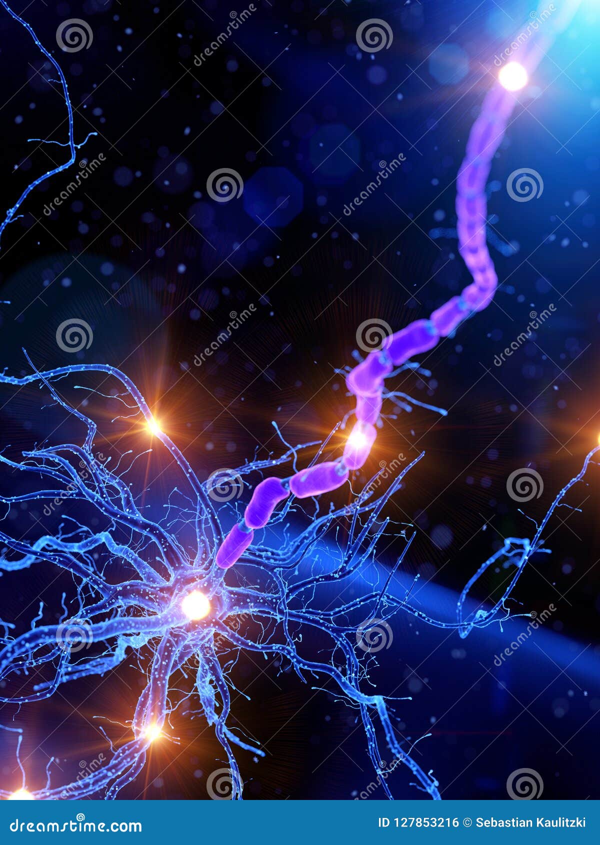 An active human nerve cell stock illustration. Illustration of axon ...