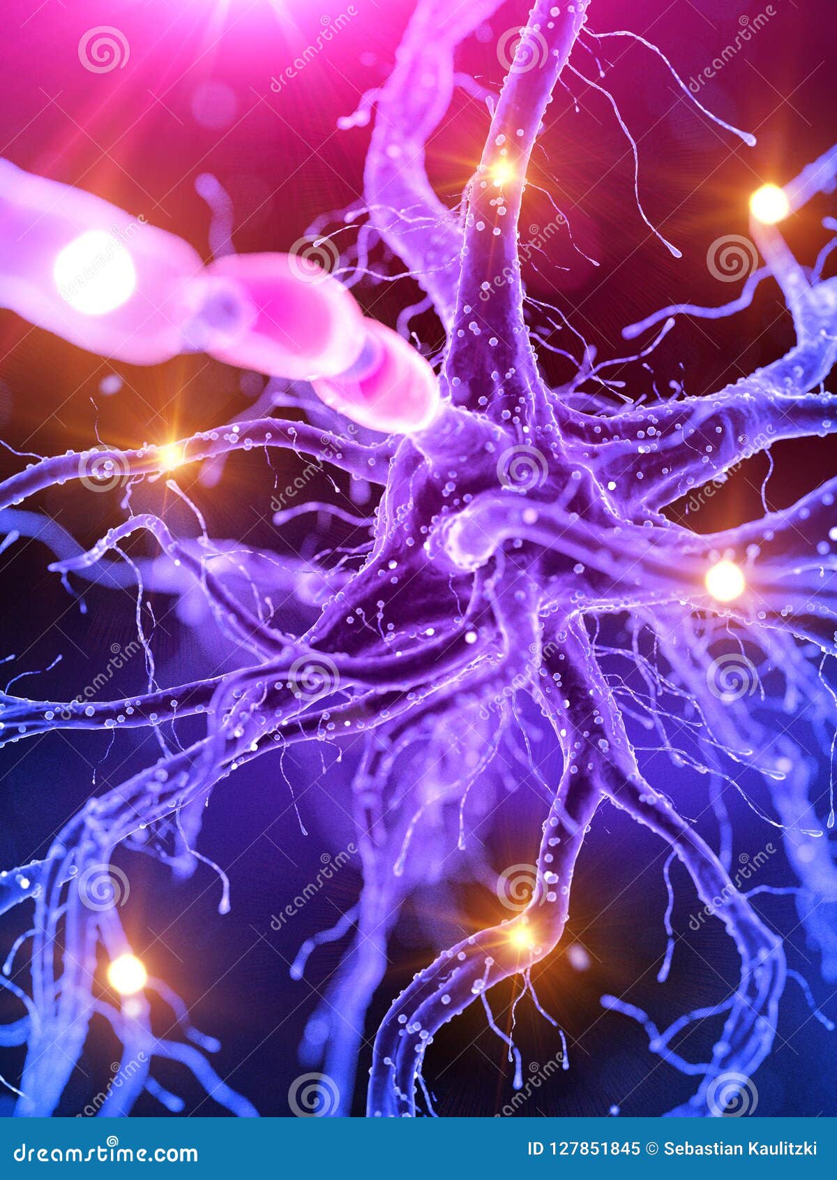 An active human nerve cell stock illustration. Illustration of accurate ...