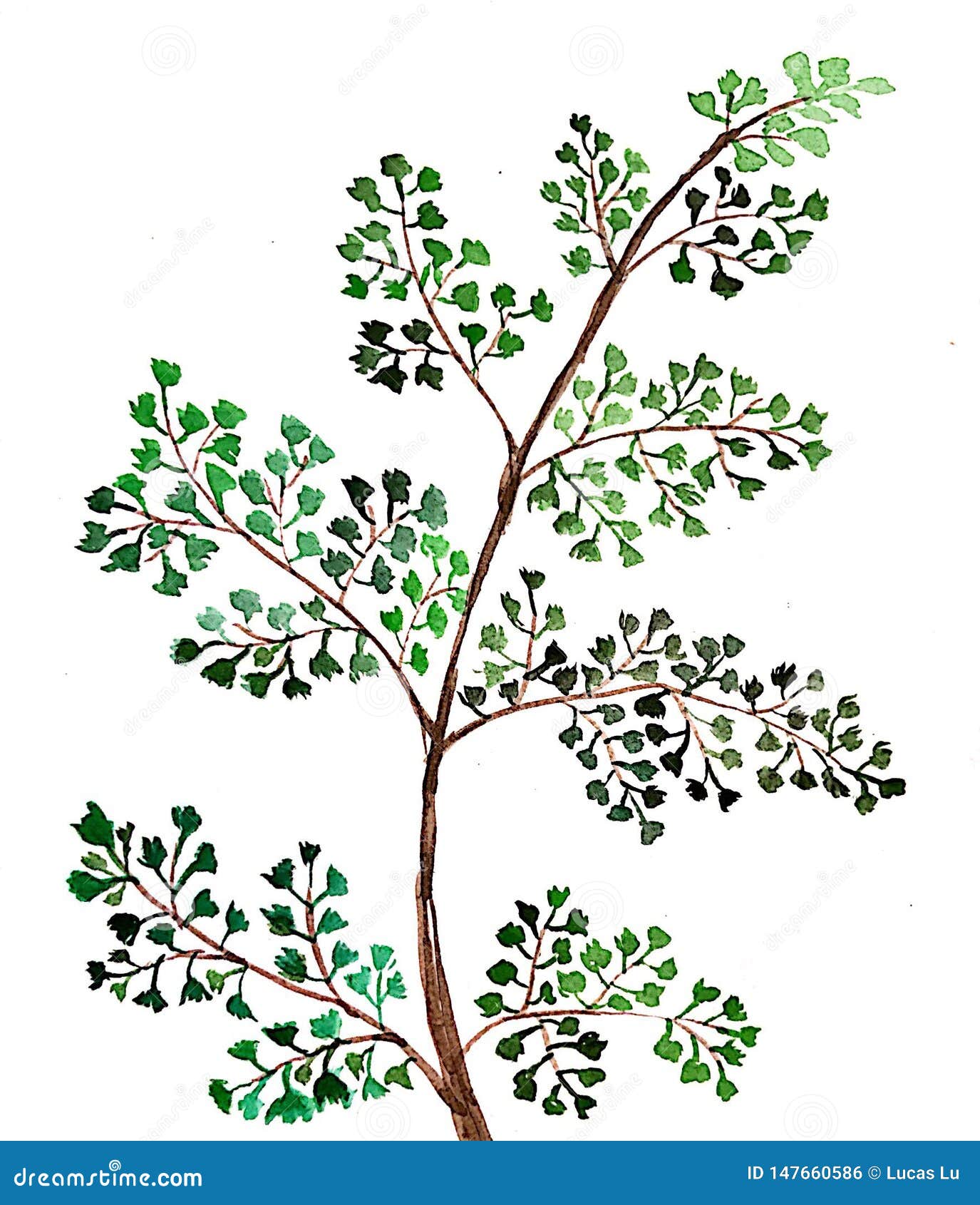 Active leaf stock photo. Image of leaf, energy, feel - 147660586