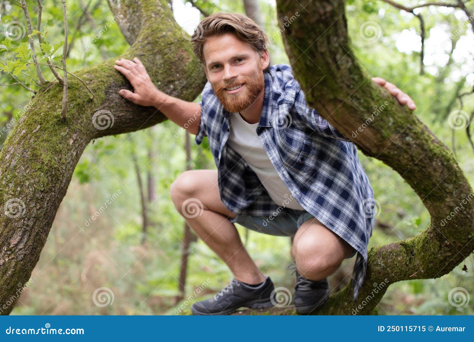 Active man up in tree stock image. Image of adult, nature - 250115715