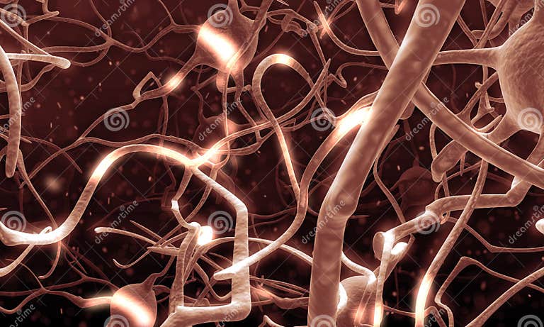 Active Nerve Cell in Human Neural System Stock Illustration ...